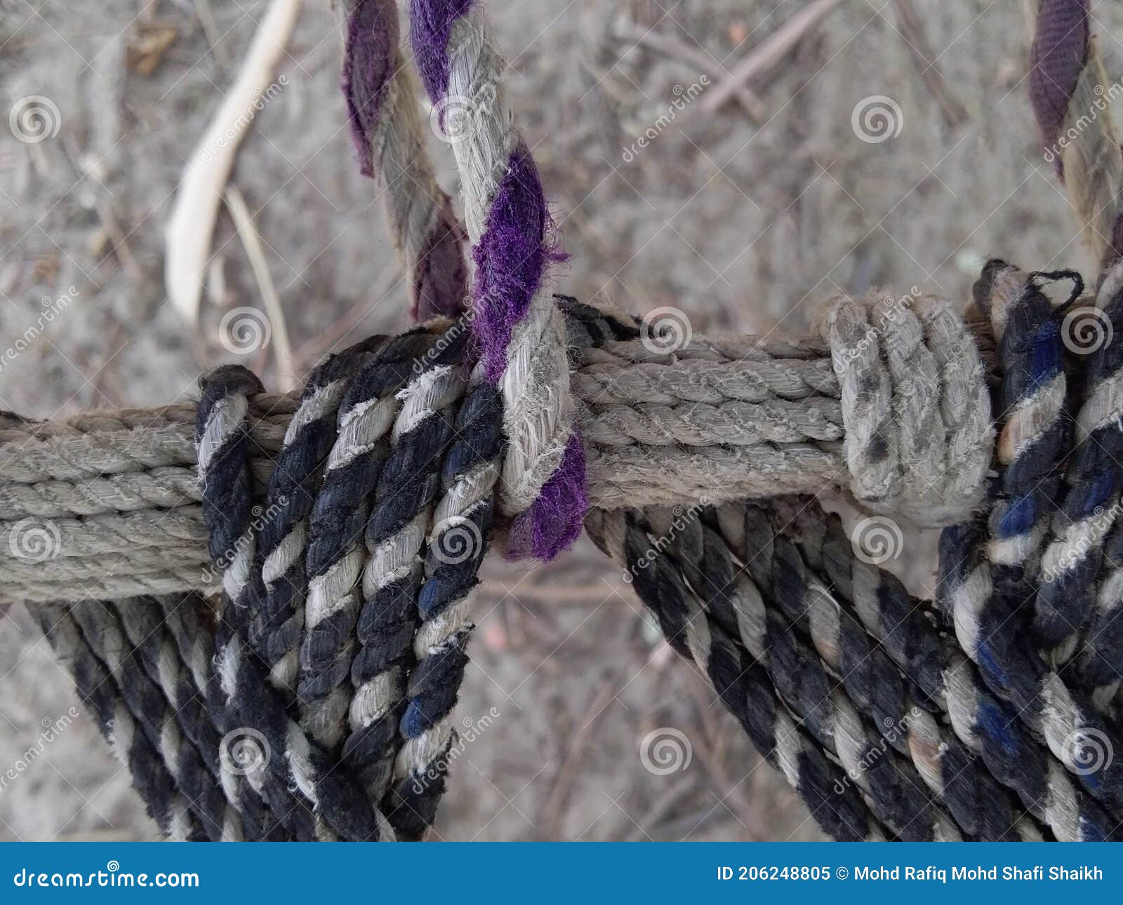 Rope Tied in Cot in India Selective Focus Stock Image - Image of insect ...
