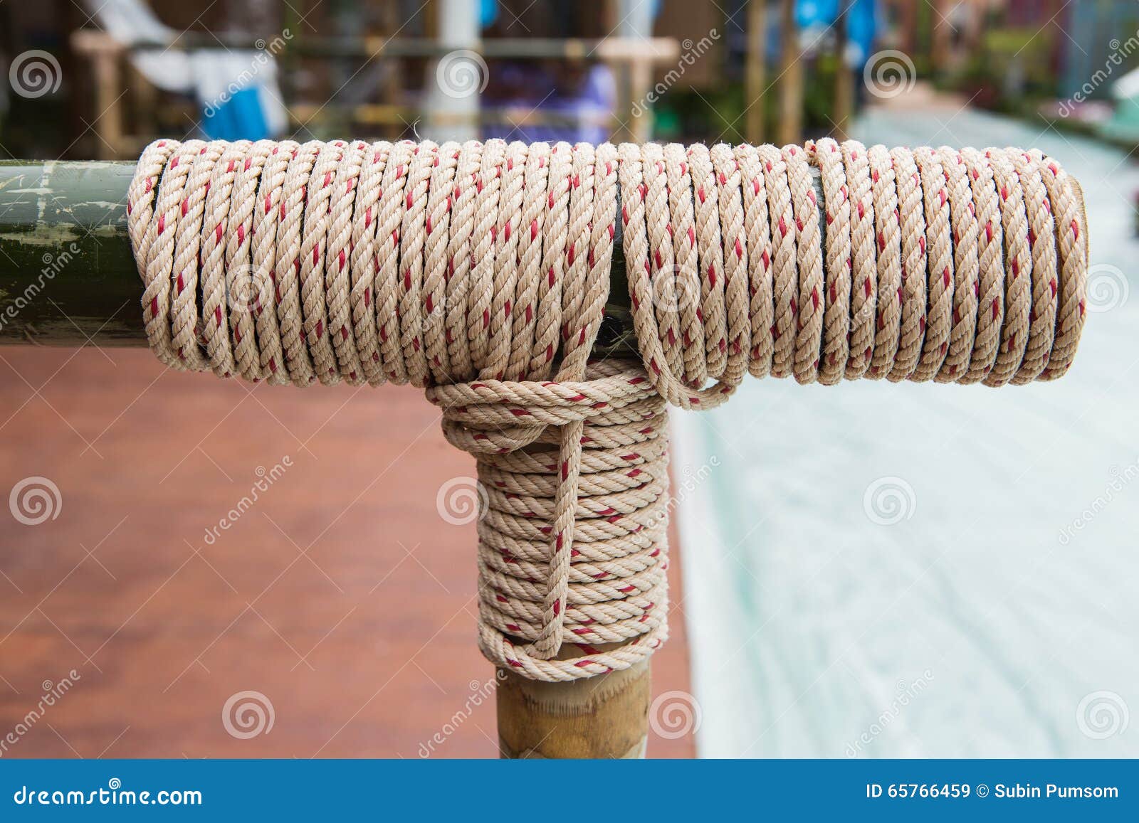 Rope tied knot stock image. Image of bind, nature, straight - 65766459