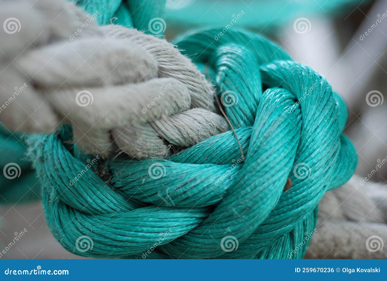 Rope Knot. Rope Texture. Rope Tied In A Knot Royalty-Free Stock Image ...