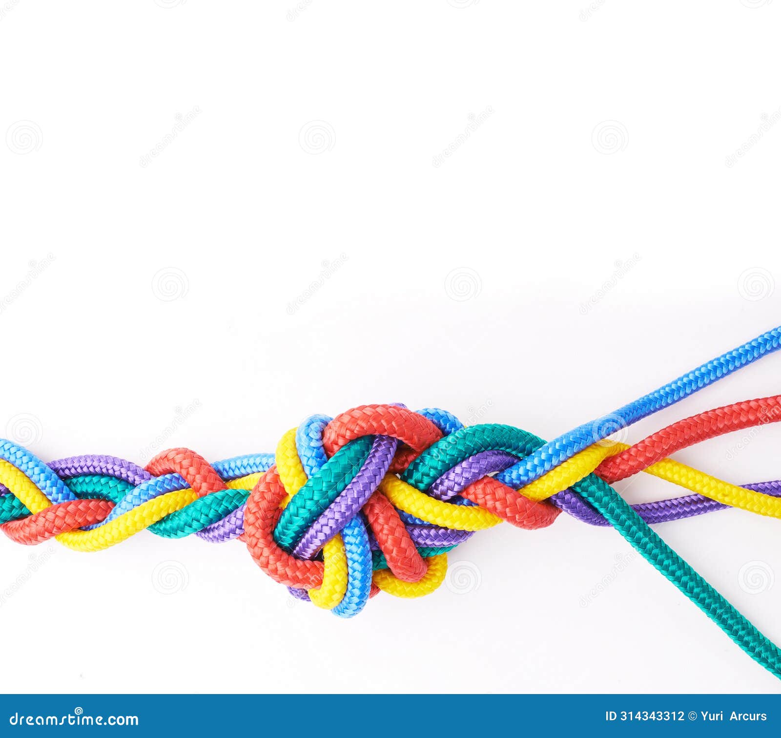 Rope, Ties and Unity of Color in Knot or Braid on White Background in ...