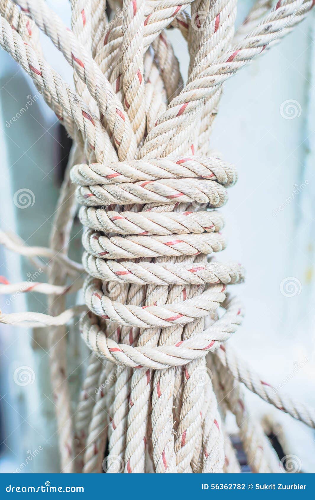 Tise Background Stock Photos - Free & Royalty-Free Stock Photos from ...