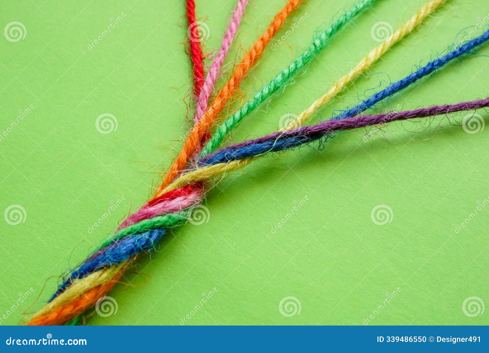 Rope Twisted from Multicolored Threads. Unity and Diversity. Stock ...