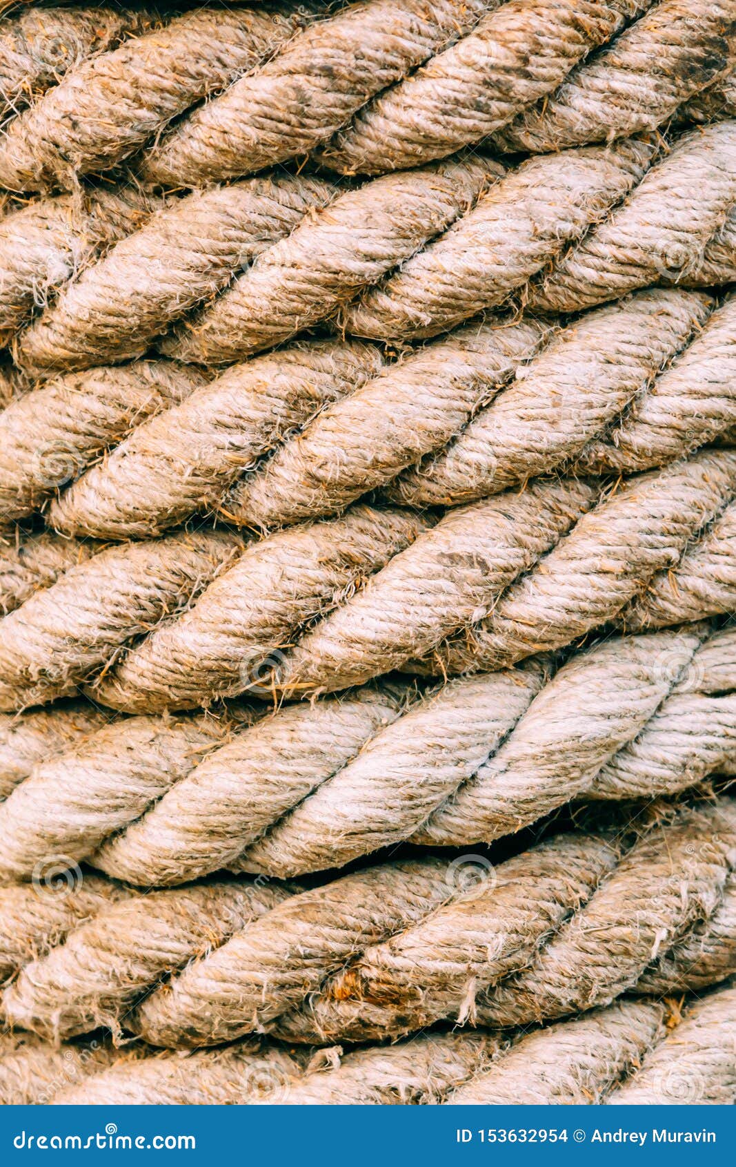 Rope stock photo. Image of rough, cable, workout, marine - 153632954