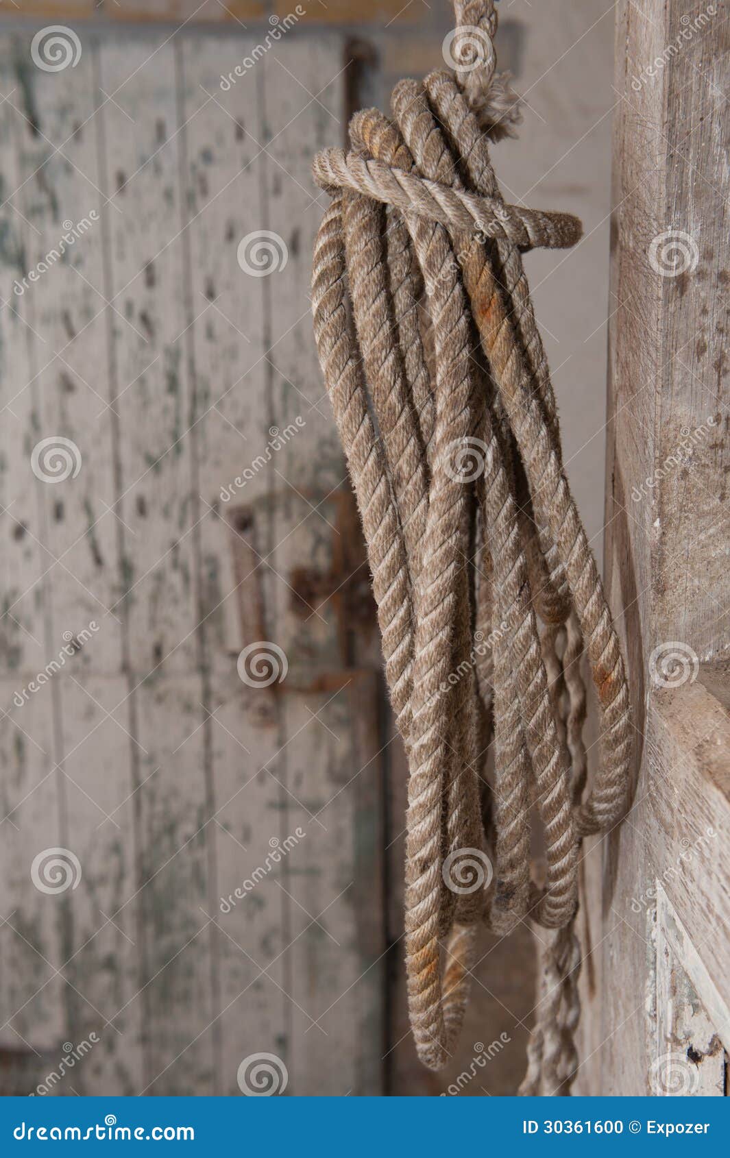 Rope stock photo. Image of collage, construction, marine - 30361600