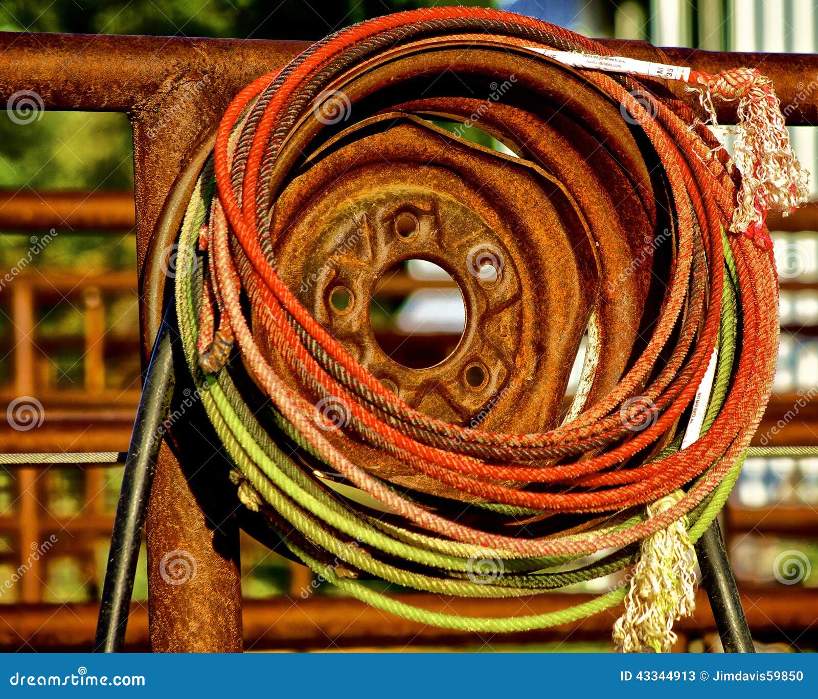 Rope stock image. Image of rodeo, hanging, western, rope - 43344913