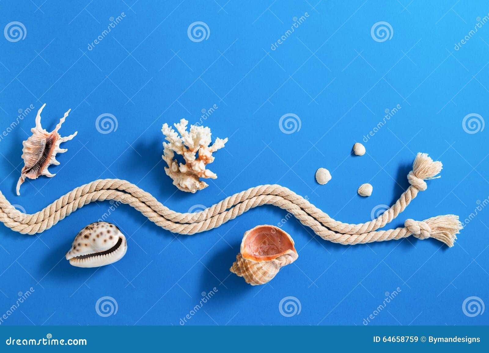 Rope with Various Sea Shells on Blue Background Stock Image - Image of ...