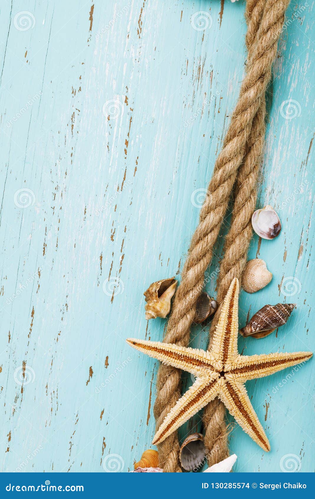 Rope and Various Seashells Located on Right Side of Wooden Board Stock ...
