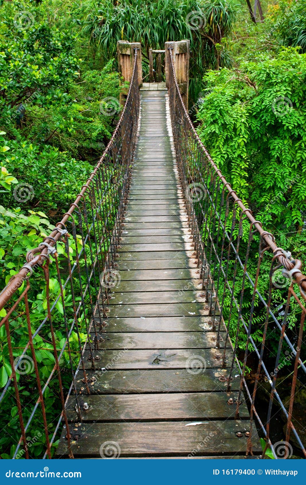 Rope walkway stock photo. Image of rope, destination - 16179400