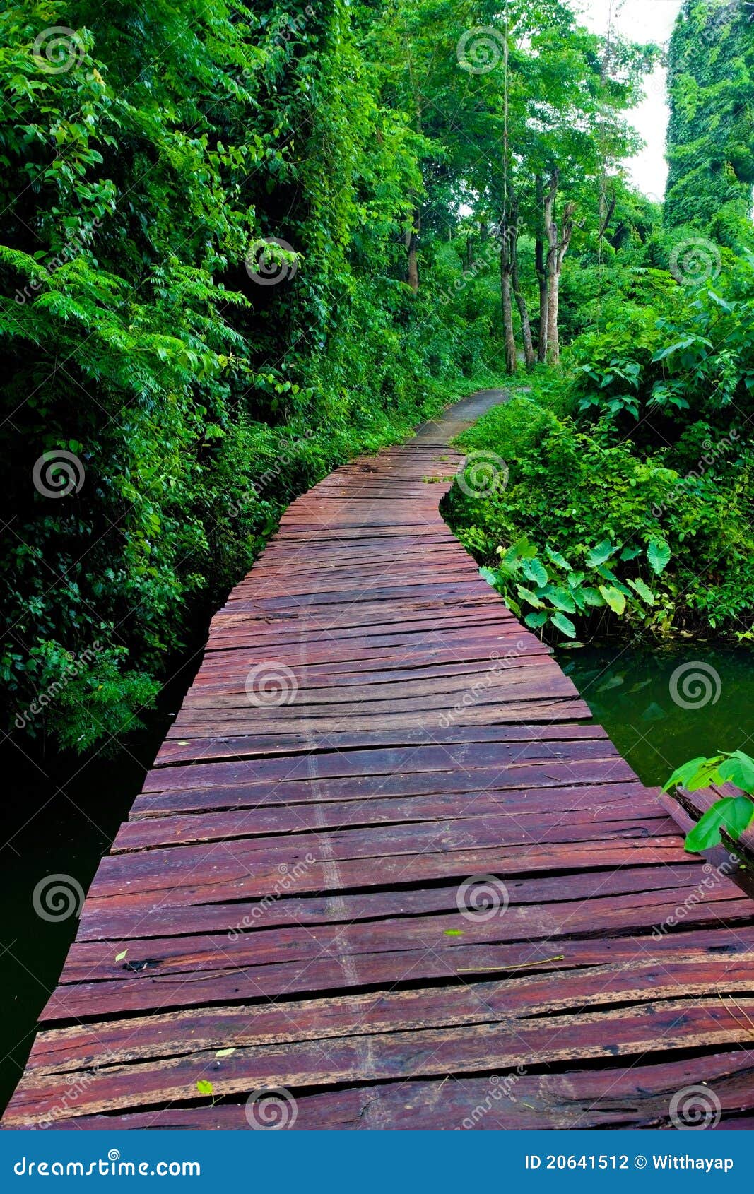 Rope walkway stock photo. Image of journey, outdoor, adventure - 20641512