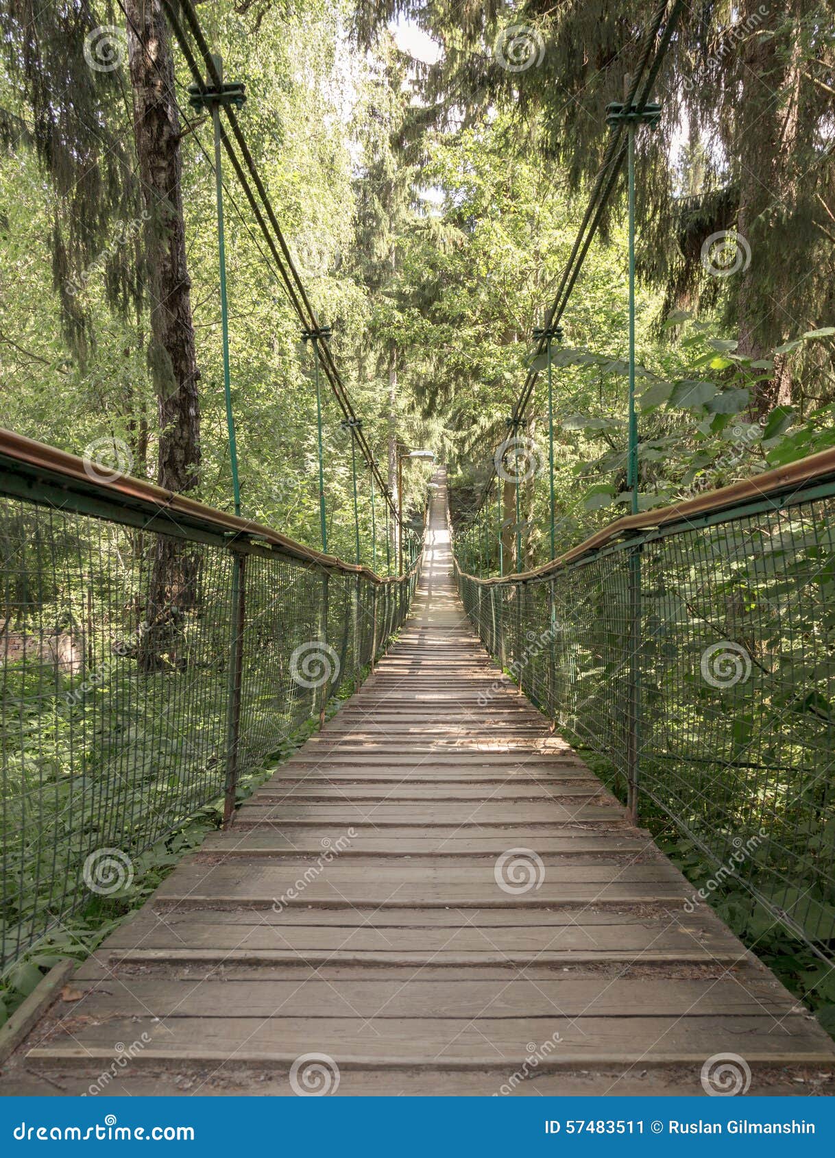 Rope Walkway through the Treetops in a Rain Forest Stock Image - Image ...