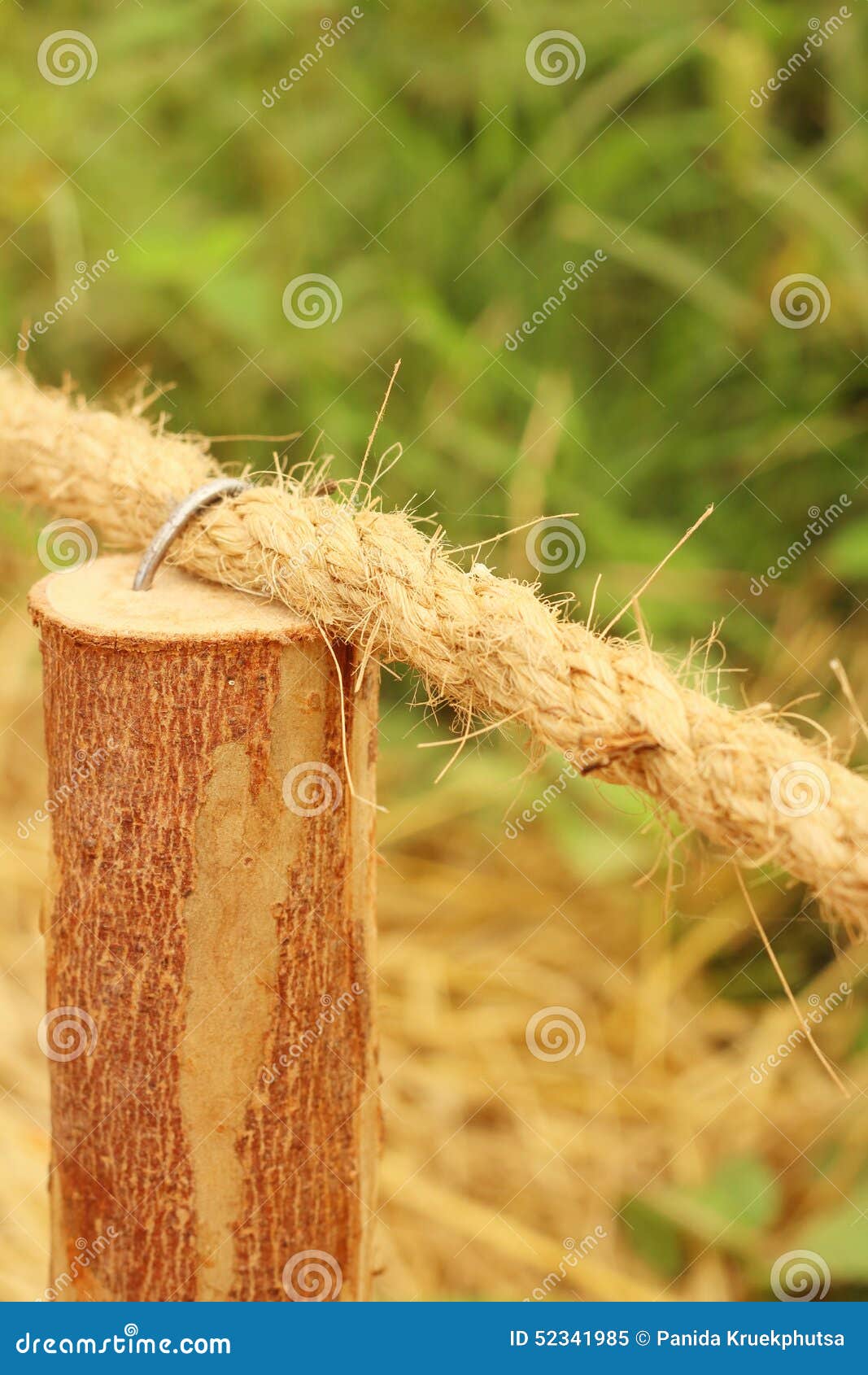 Rope Was Tied To Pole Garden Stock Photos - Free & Royalty-Free Stock ...