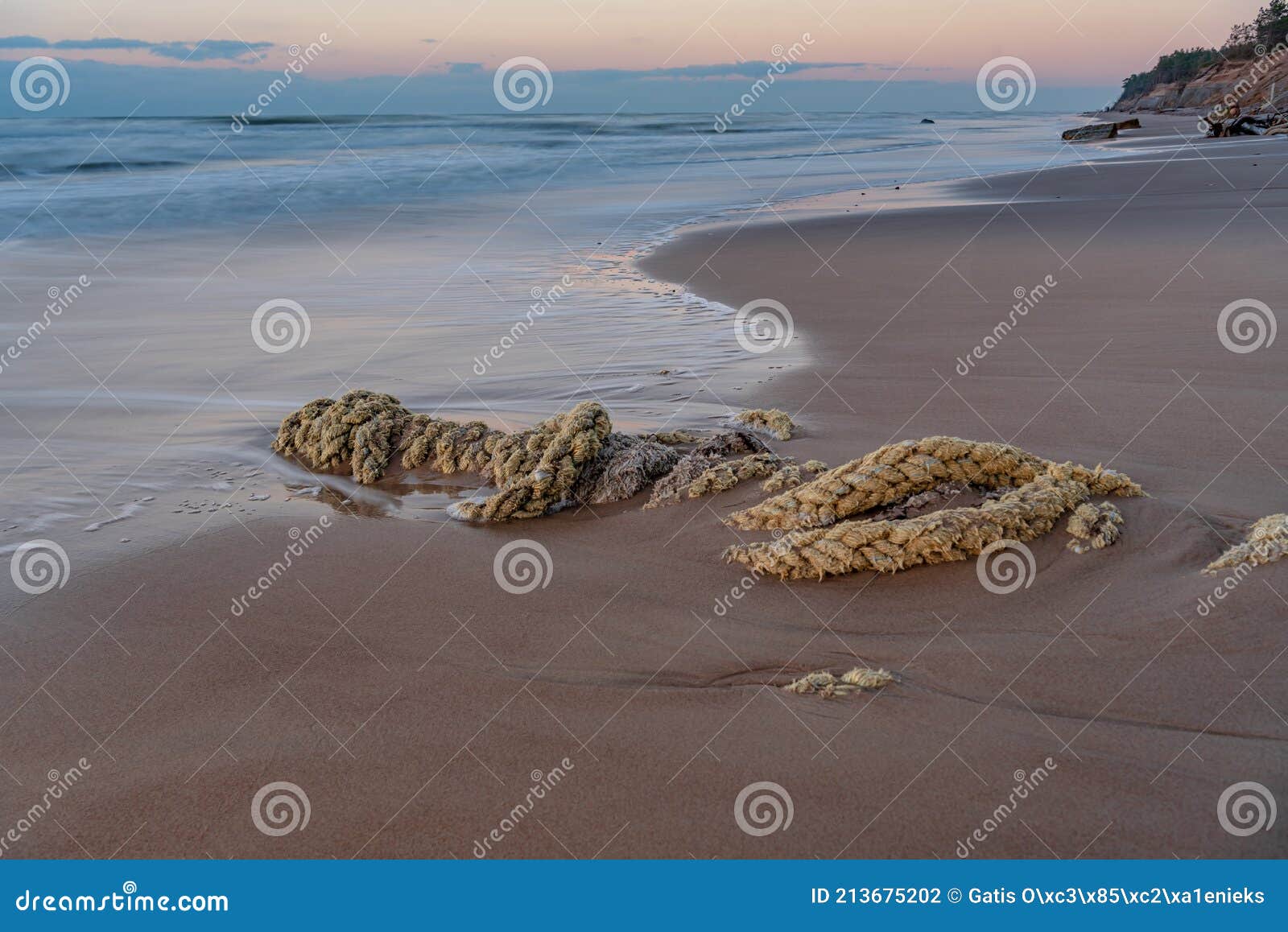 Rope Washed Up in the Sand by the Sea Stock Photo - Image of light ...