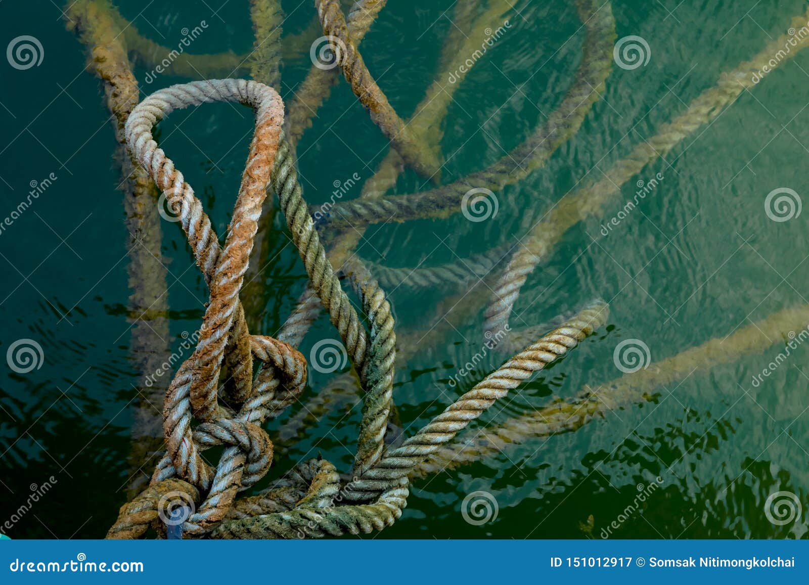 Rope on the Water for Rescue Personnel. Stock Image - Image of marine ...