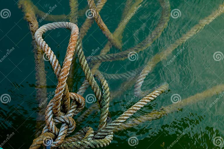 Rope on the Water for Rescue Personnel. Stock Image - Image of marine ...