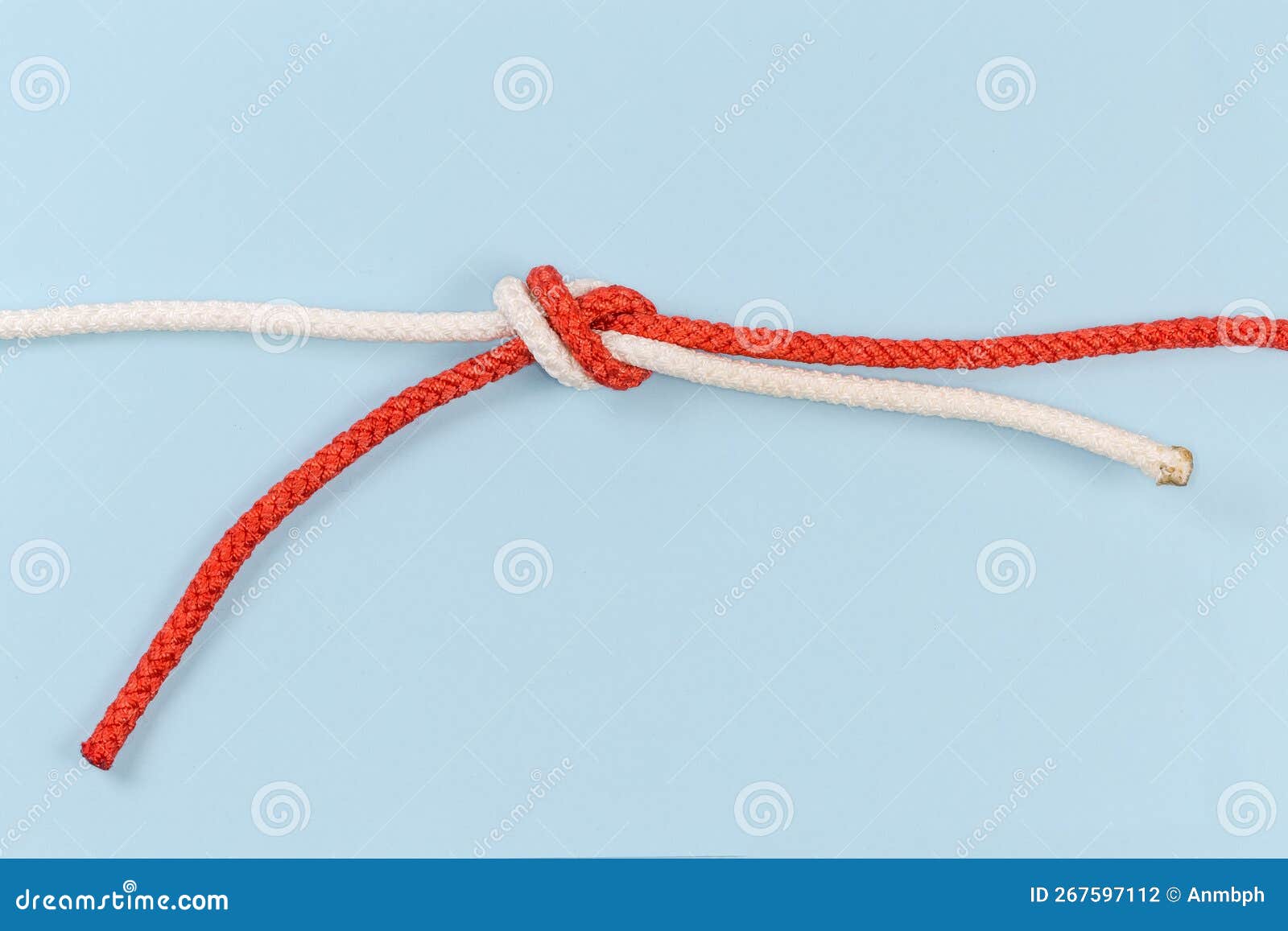 Rope Water Knot on a Blue Background Stock Photo - Image of knot ...