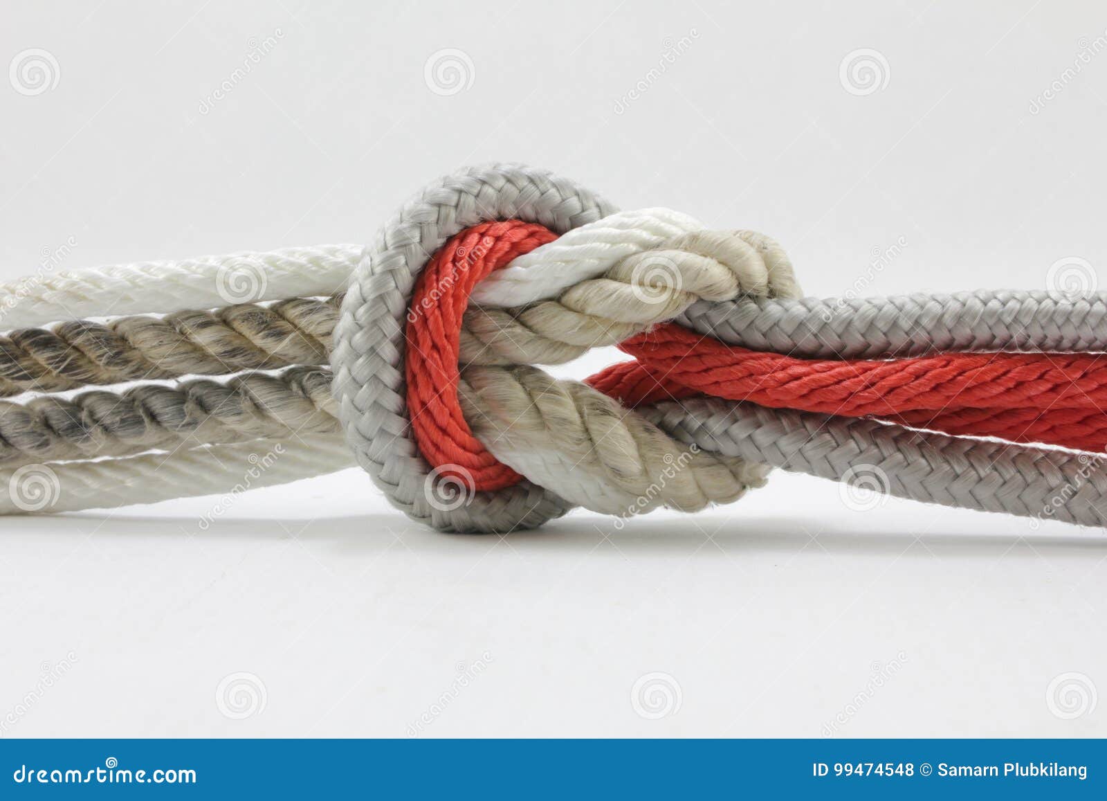Rope , knot stock photo. Image of fashion, closeup, team - 99474548