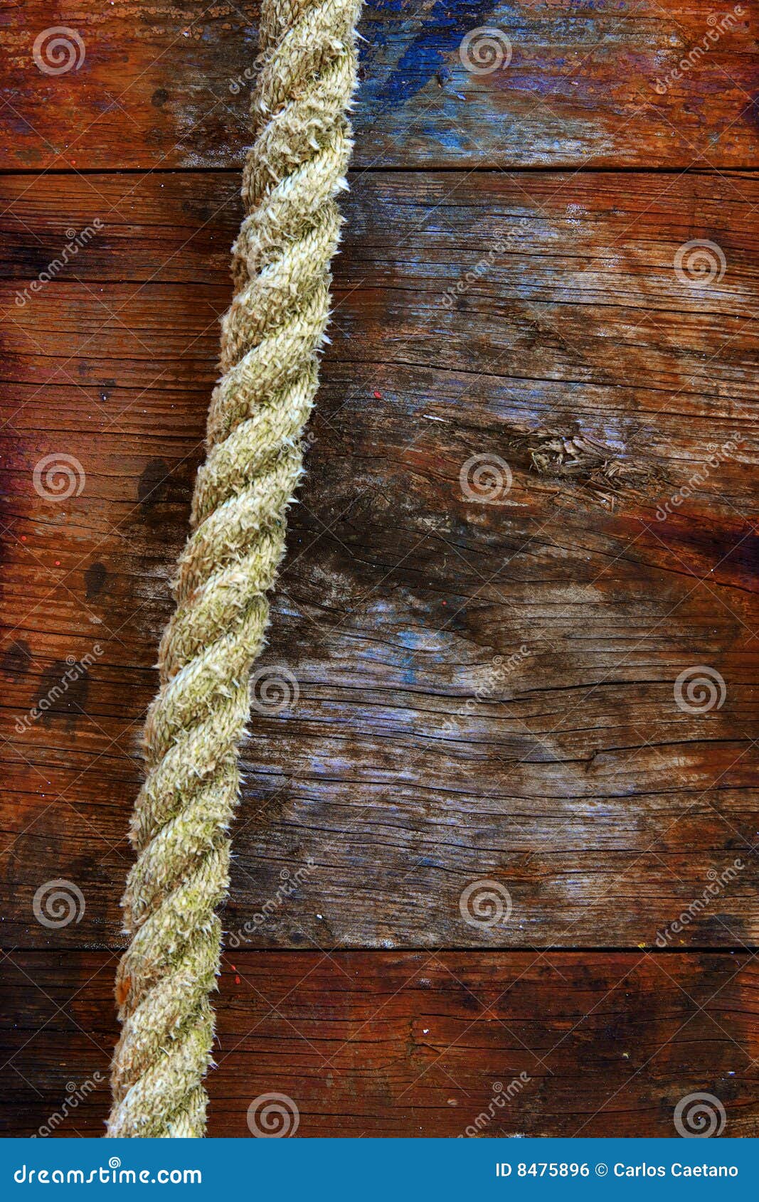 Rope on Wood stock photo. Image of fishing, stick, stem - 8475896