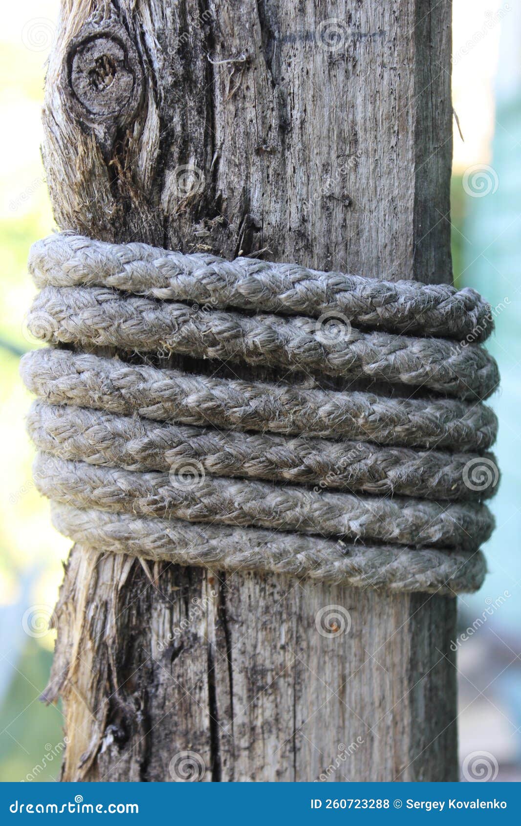 An old wet rope. Macro. stock photo. Image of board - 260723288