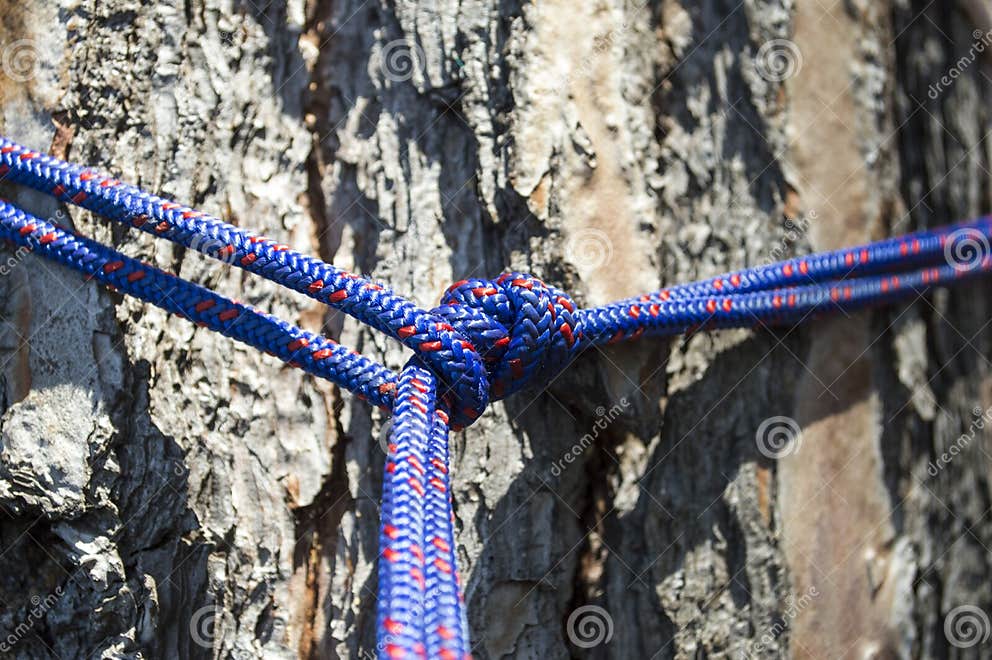 Rope Wrapped Around a Tree Trunk Stock Image - Image of asian, metal ...