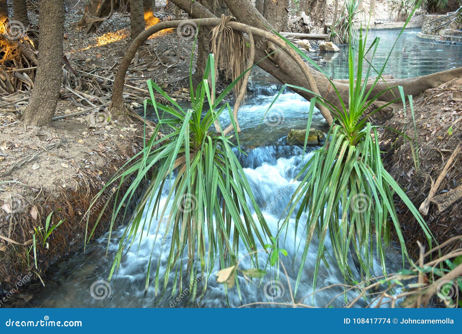 The Roper River at Mataranka Stock Photo - Image of stream, river ...