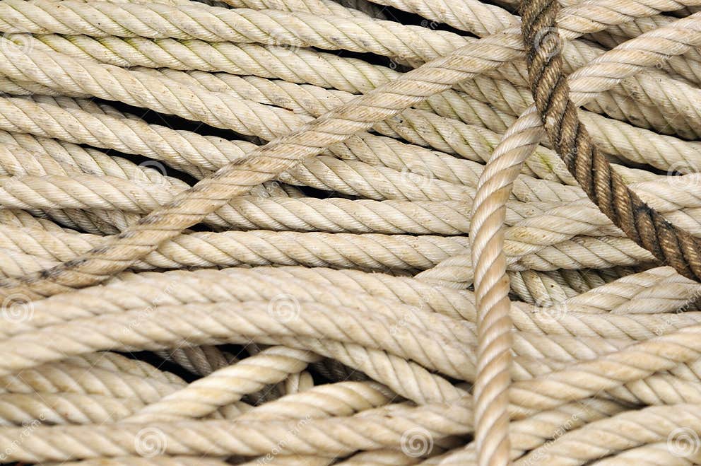 Ropes stock photo. Image of ropes, together, texture, industry - 5886138