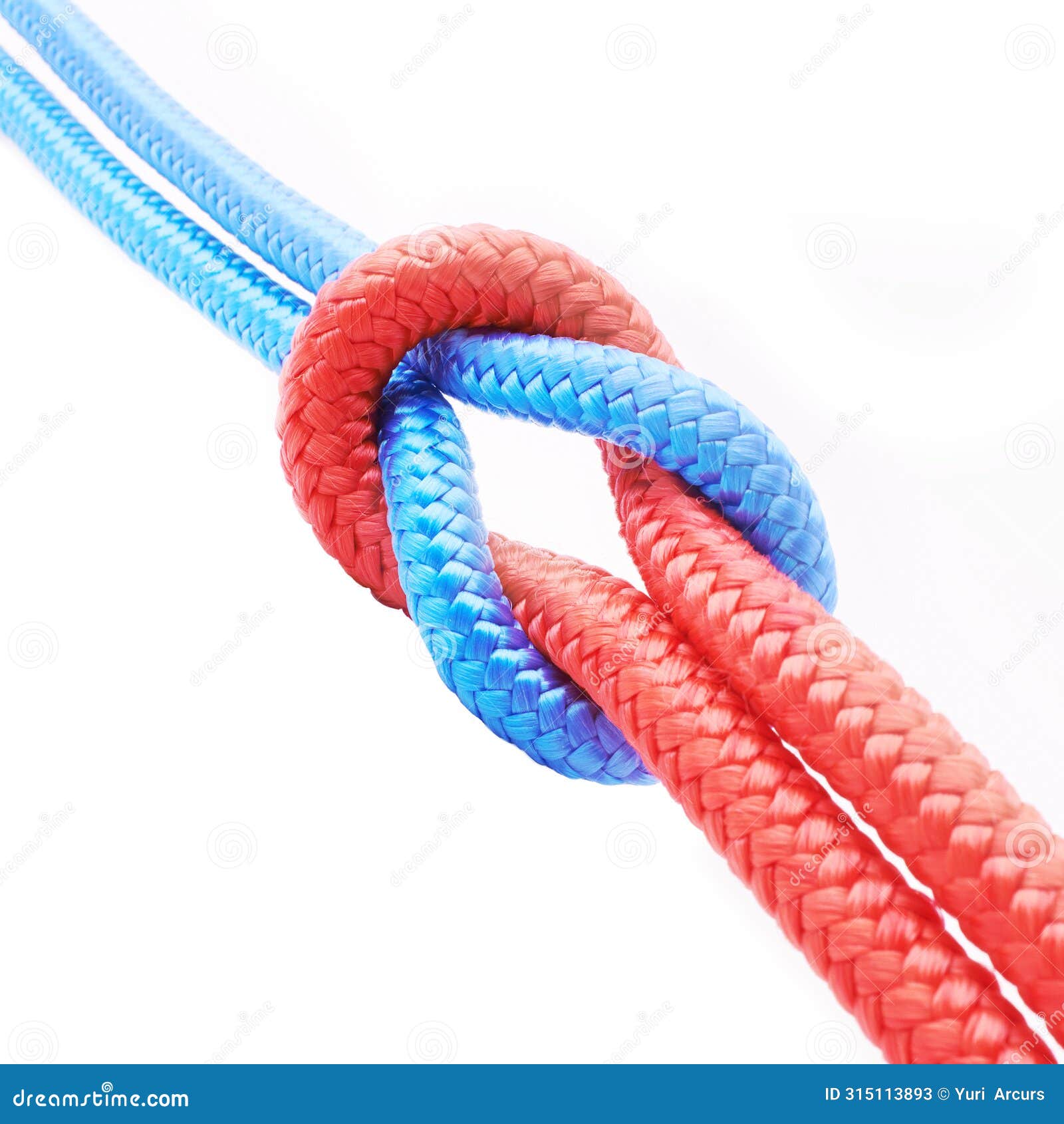 Ropes, Collaboration and Unity in Studio Background for Teamwork ...