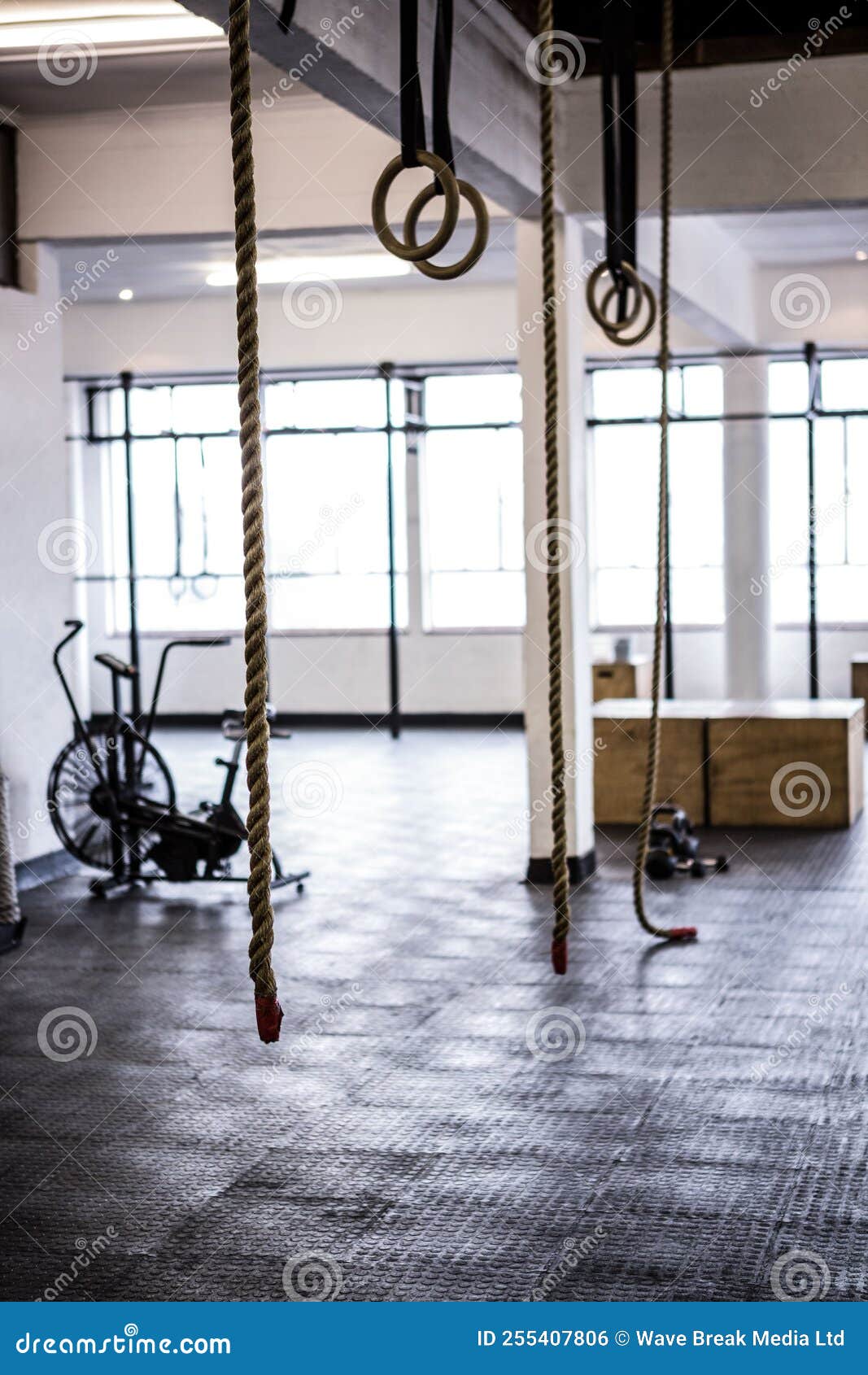 Ropes in fitness studio stock photo. Image of rope, fitness - 255407806