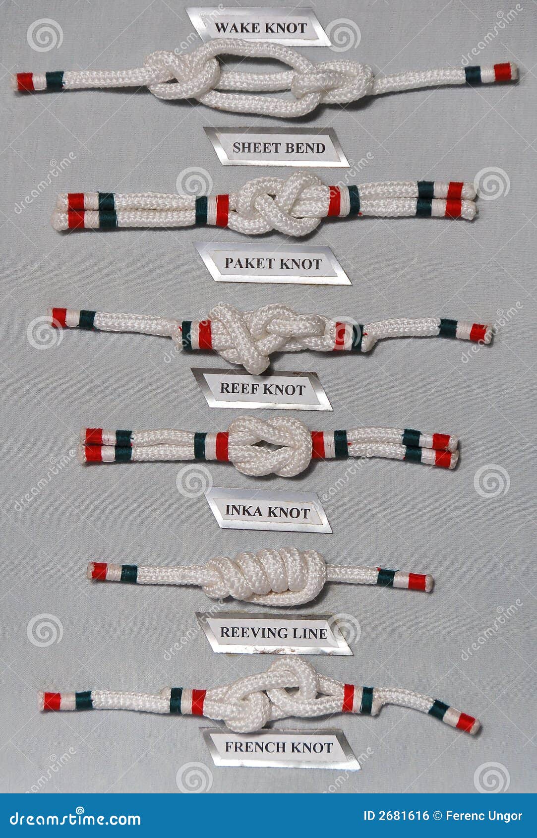 Ropes knots stock photo. Image of isolated, moorings, connection - 2681616