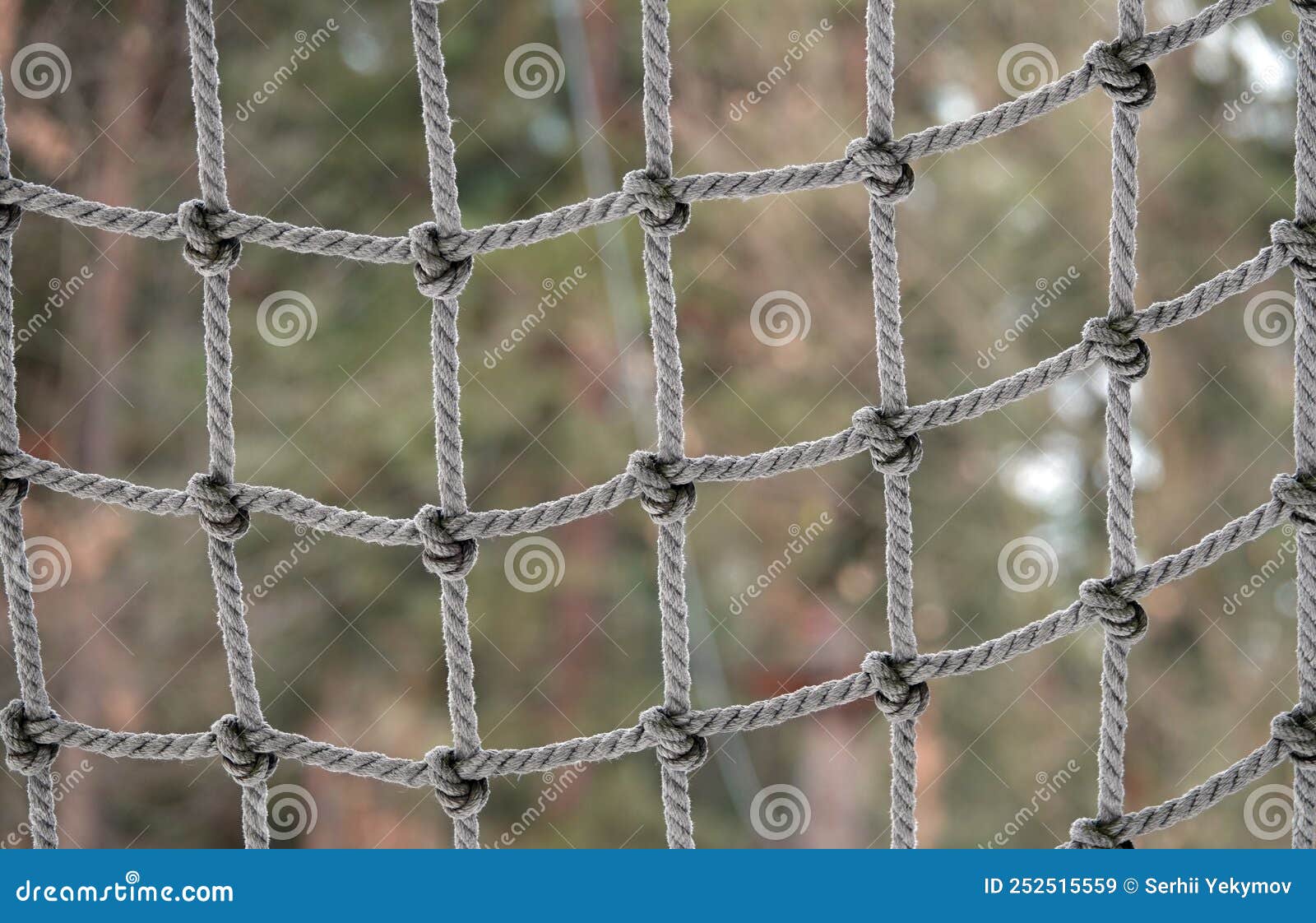 Ropes woven into a net stock image. Image of green, nature - 252515559