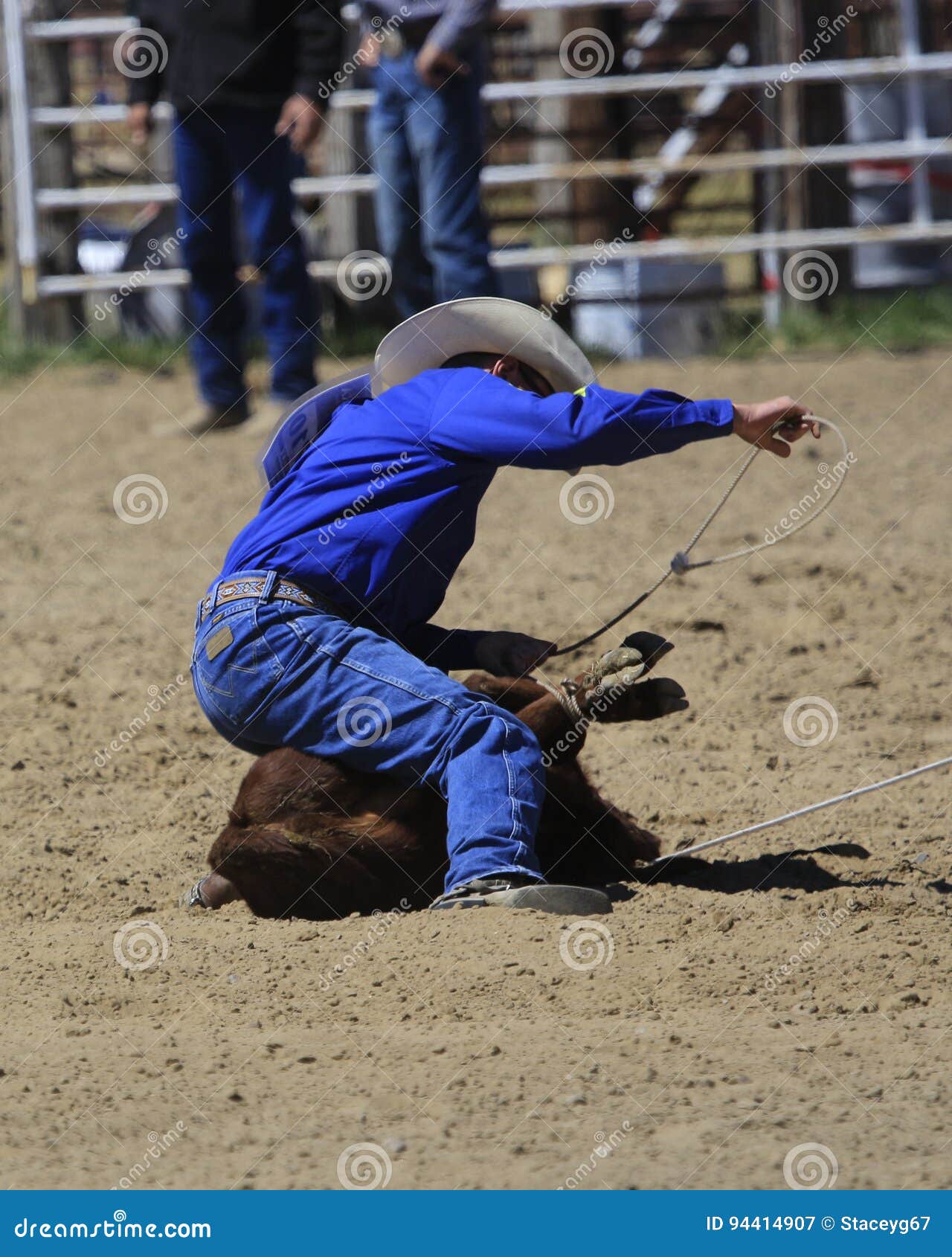 Roping the Calf editorial photography. Image of ranch - 94414907