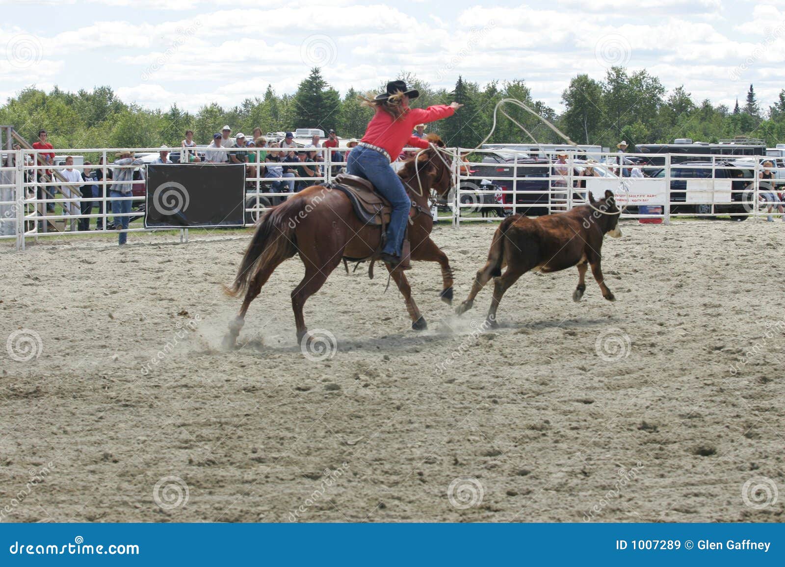 Roping a steer stock image. Image of display, women, calf - 1007289