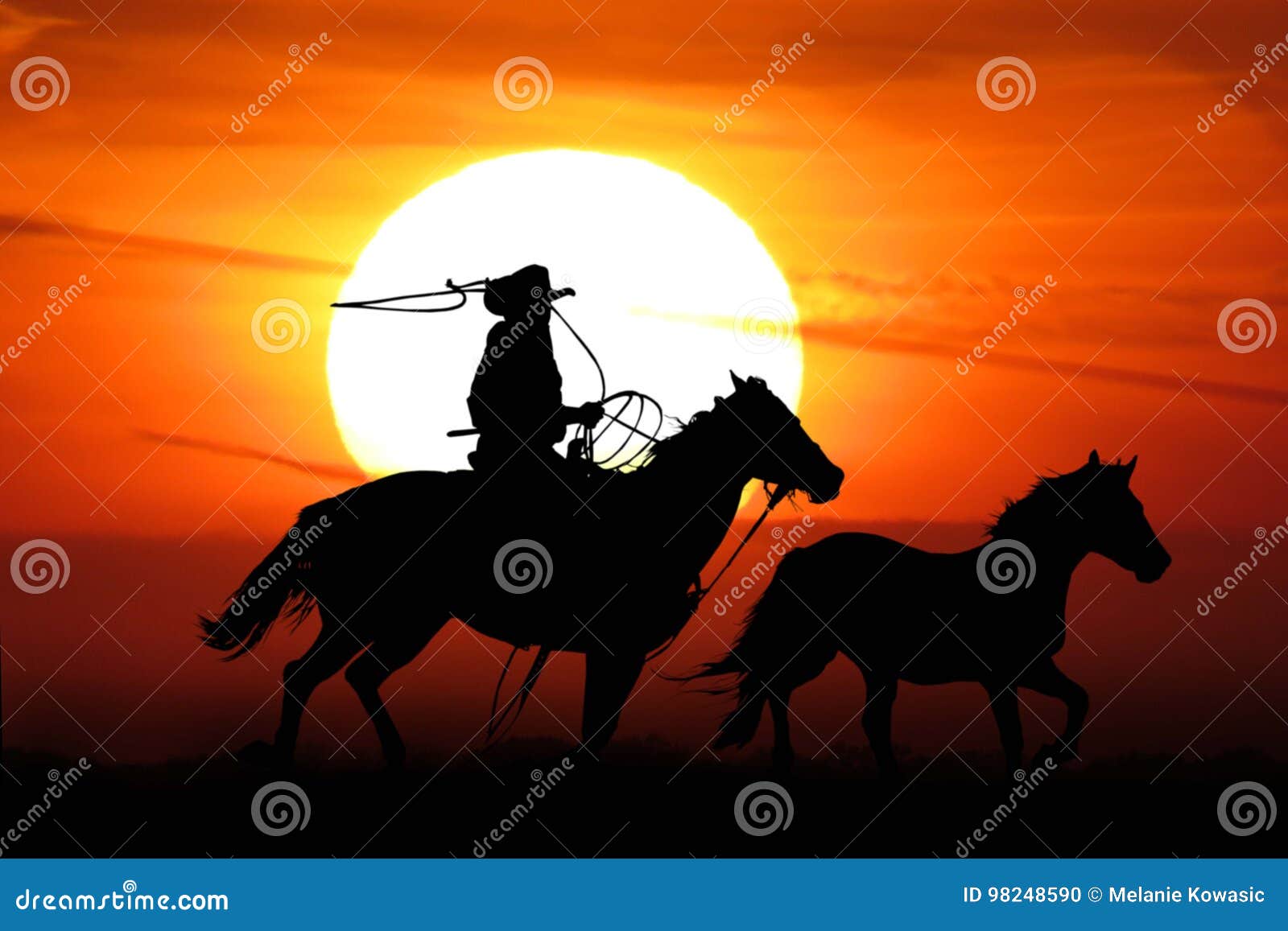 Roping the wild stock photo. Image of rancher, sunset - 98248590