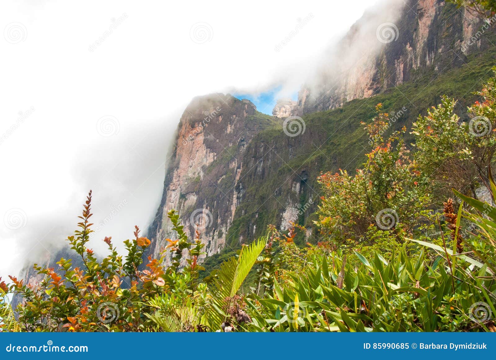 Roraima Tepui, Gran Sabana, Venezuela Imagen de archivo - Imagen de ...