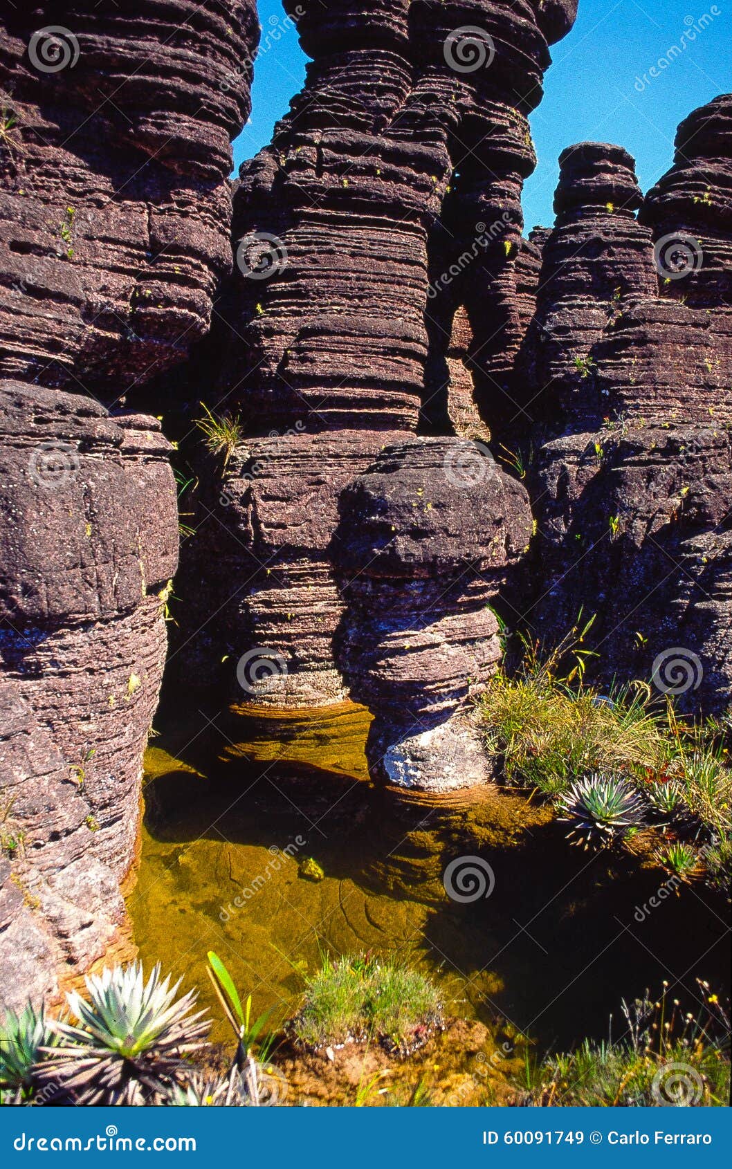 Roraima Tepui Top stock image. Image of rainforest, cliffs - 60091749