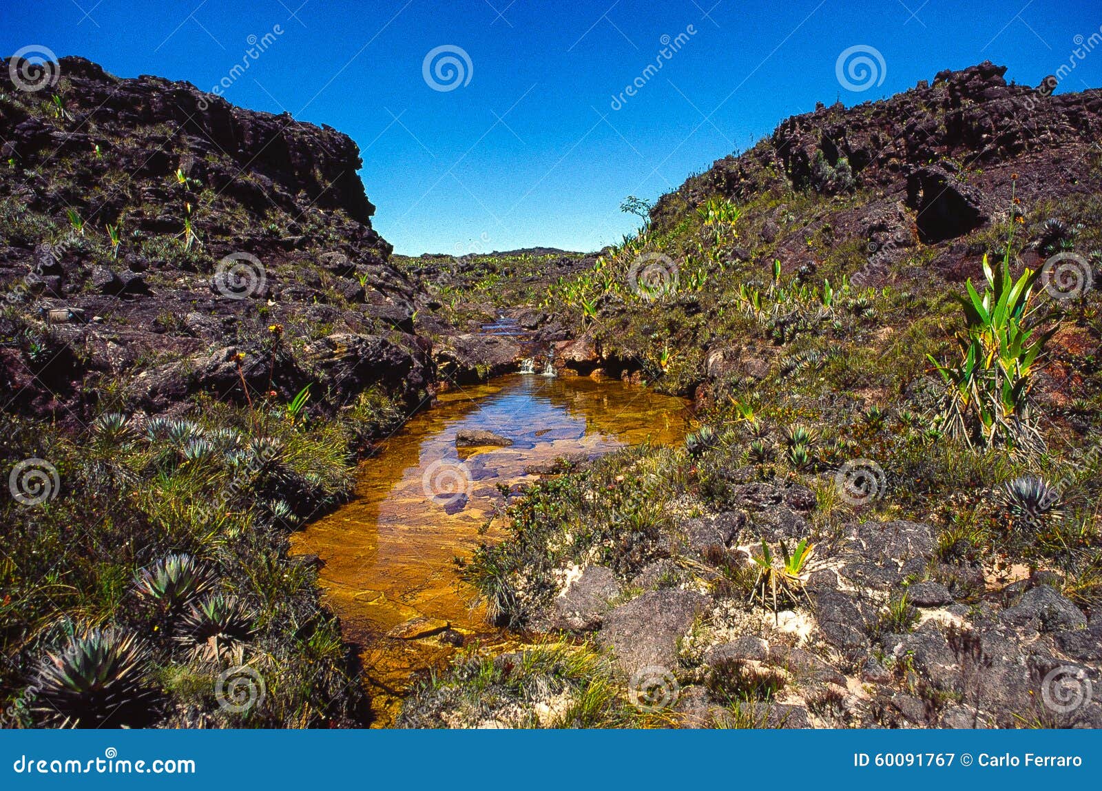 Roraima Tepui Top stock image. Image of formation, venezuela - 60091767