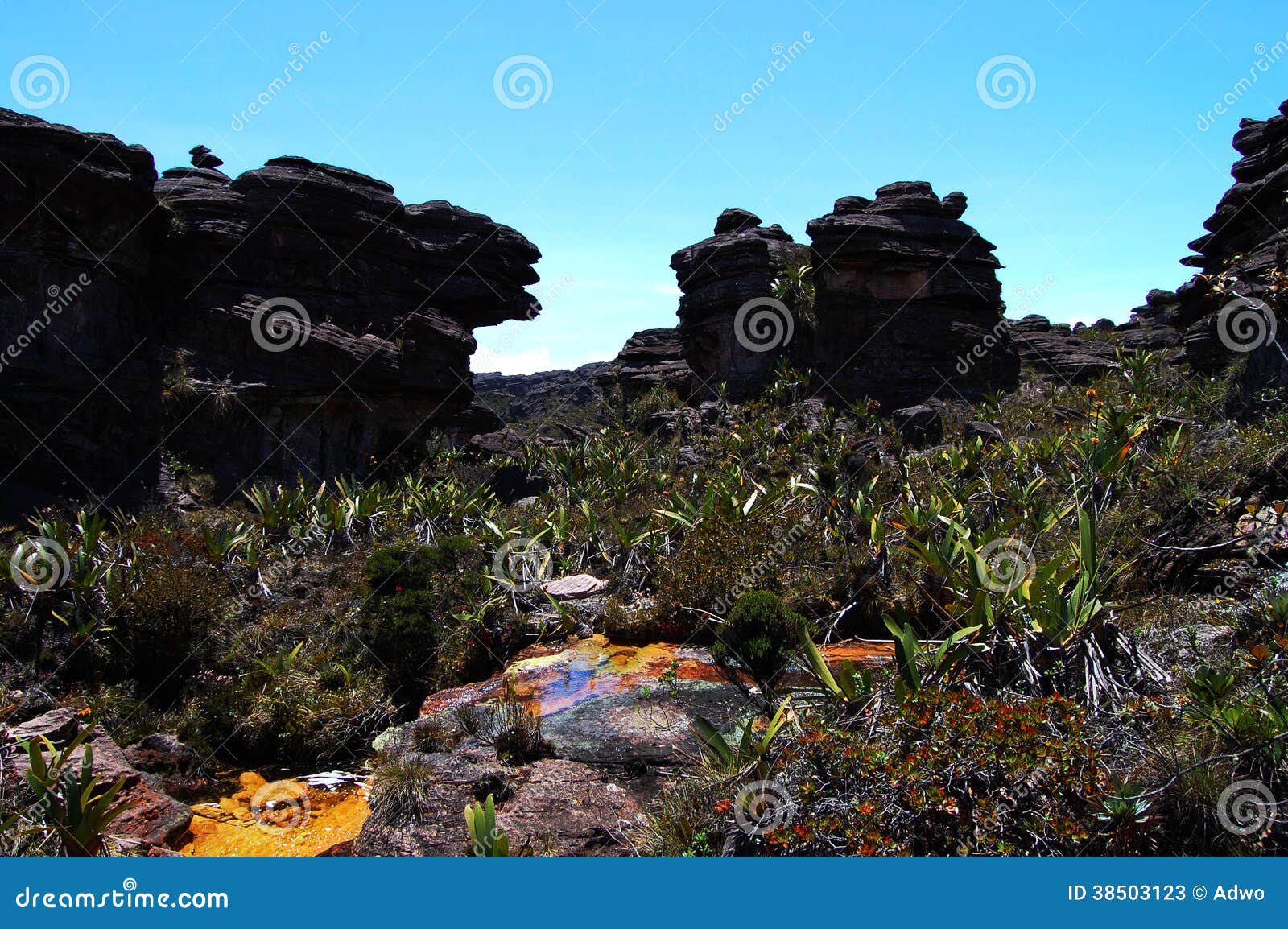 Roraima - Venezuela stock image. Image of plateau, geology - 38503123