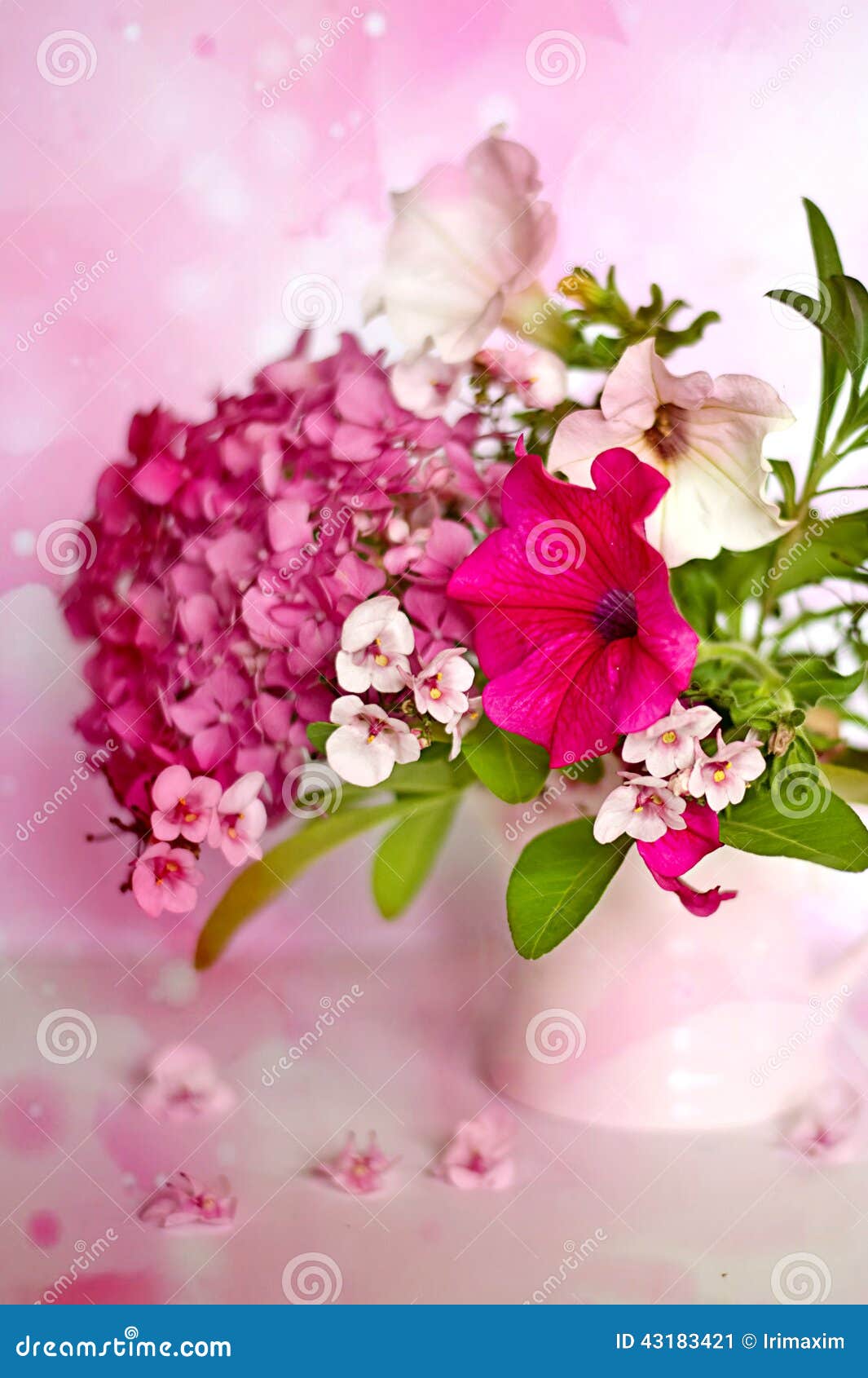 Rosa Blumen stockbild. Bild von freundschaft, botanik - 43183421