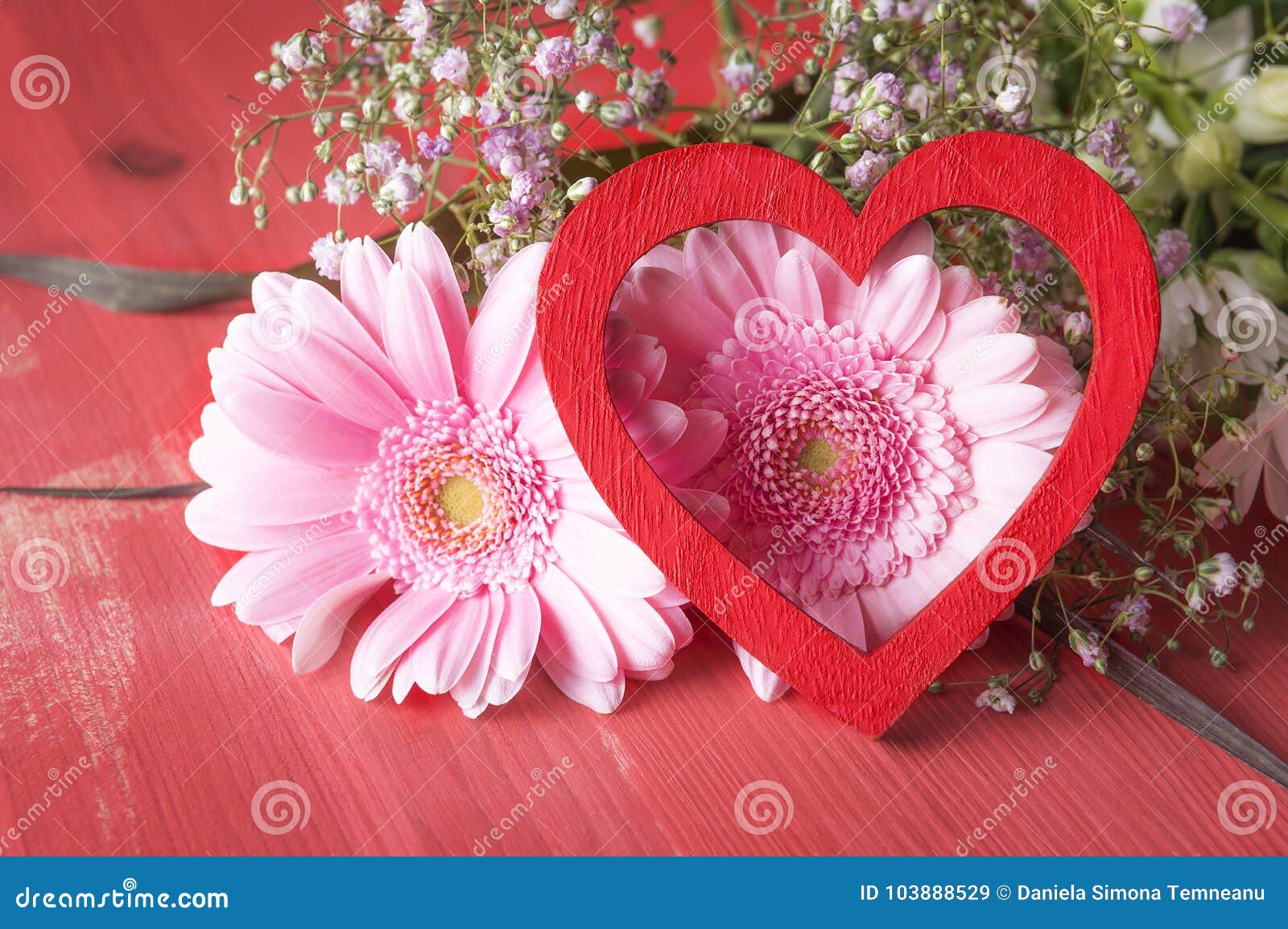 Rosa Blumen und rotes Herz stockbild. Bild von chrysantheme - 103888529