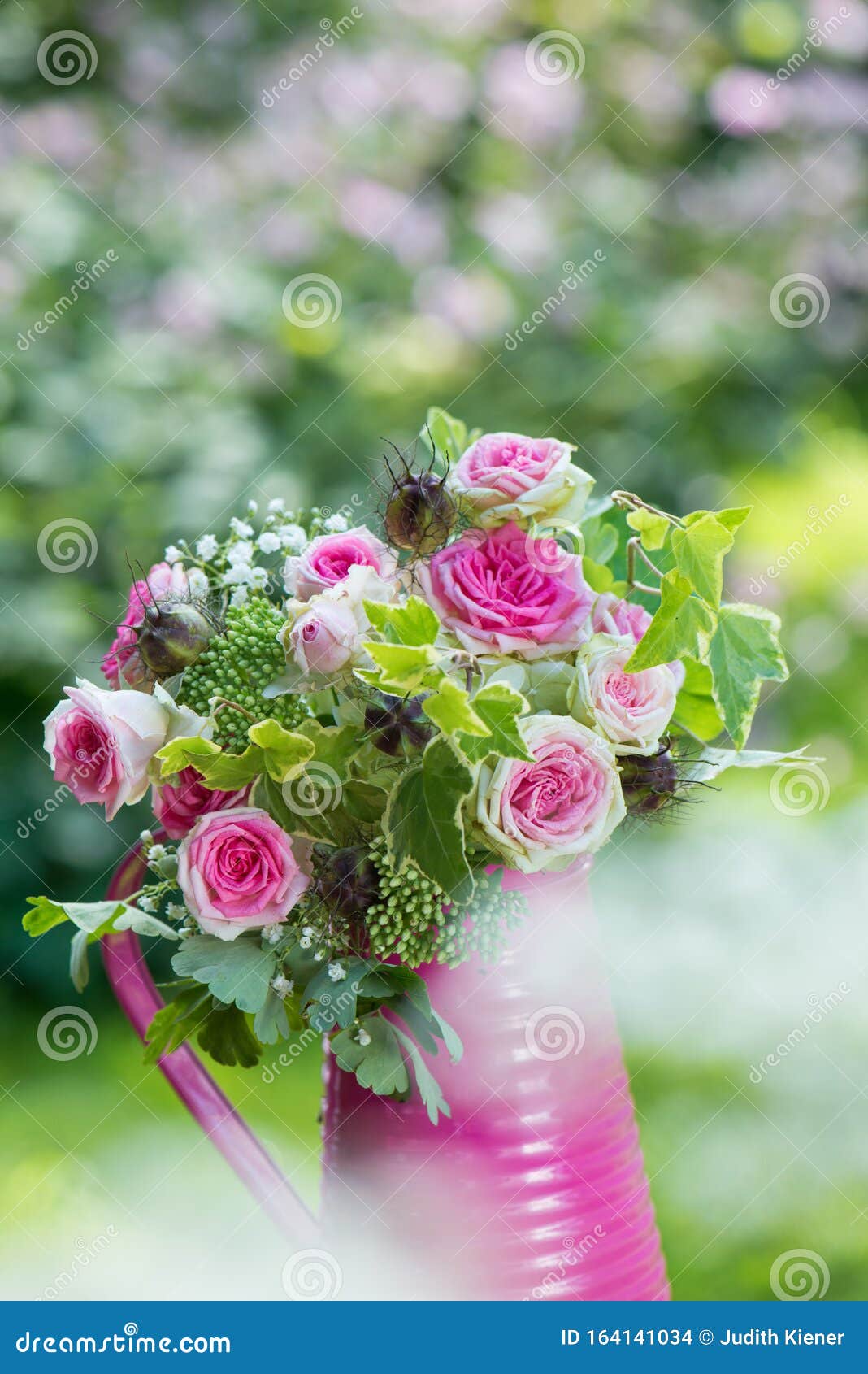 Pink Roses Flower Bouquet in a Watering Can Stock Photo - Image of ...
