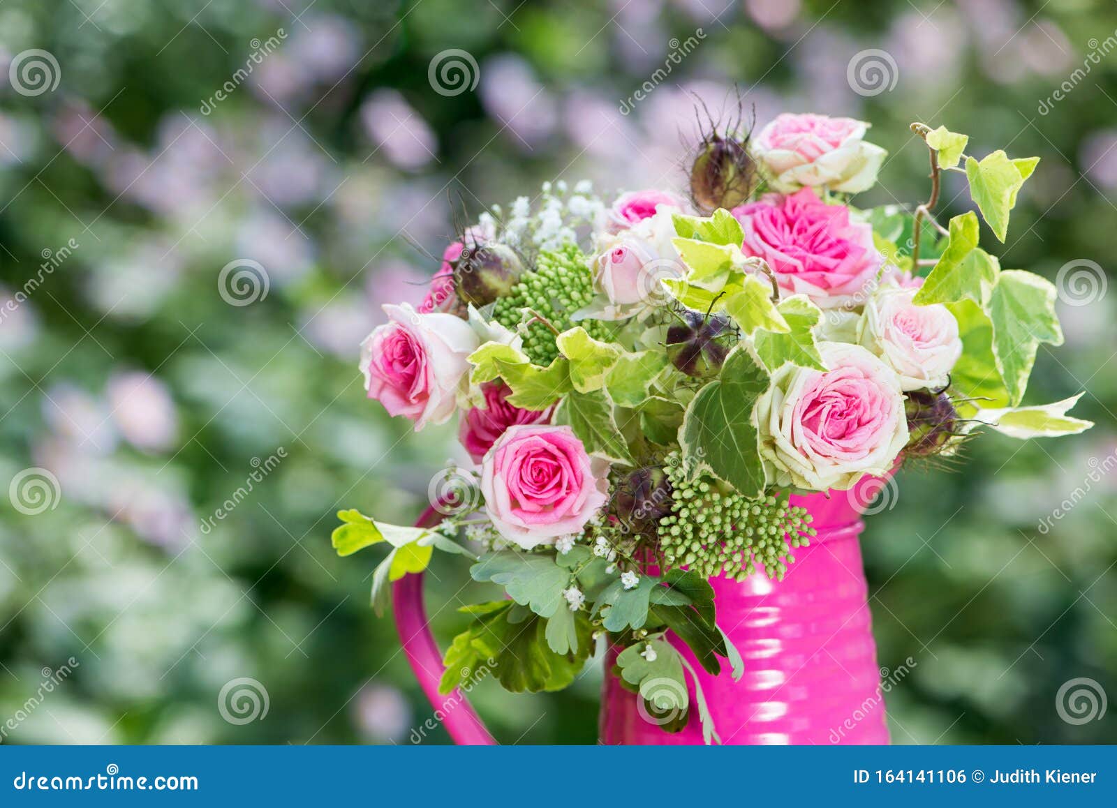 Pink Roses Flower Bouquet in a Watering Can Stock Photo - Image of ...