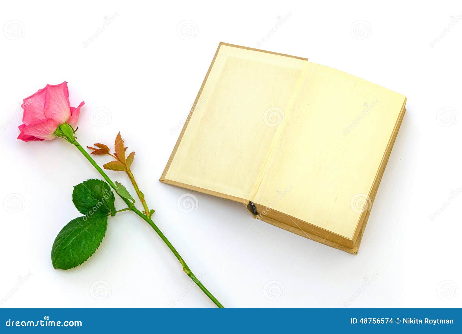 Rosa con un libro fotografia stock. Immagine di rosa - 48756574