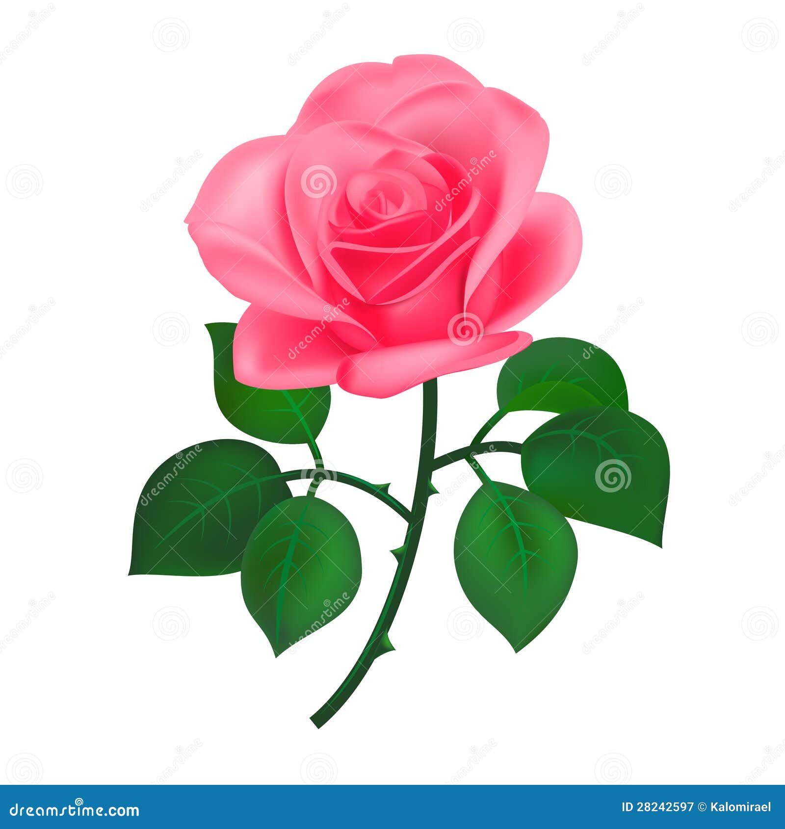 Rosa del rosa ilustración del vector. Ilustración de rosa - 28242597