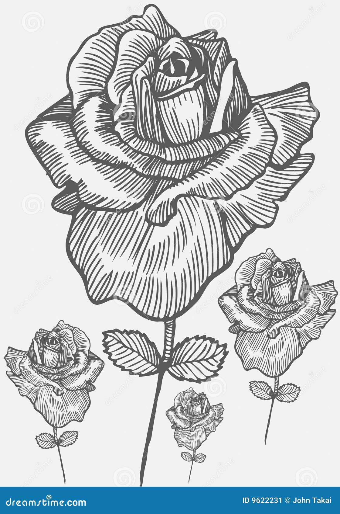 Rosa disegnata a mano illustrazione vettoriale. Illustrazione di fiore ...