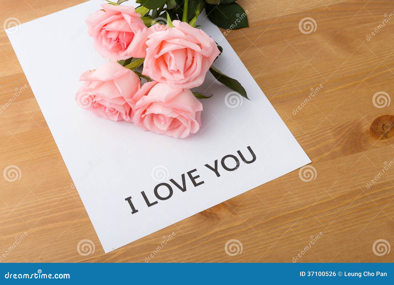 Rosa Do Rosa Com Mensagem De Eu Te Amo Foto de Stock - Imagem de pétala ...