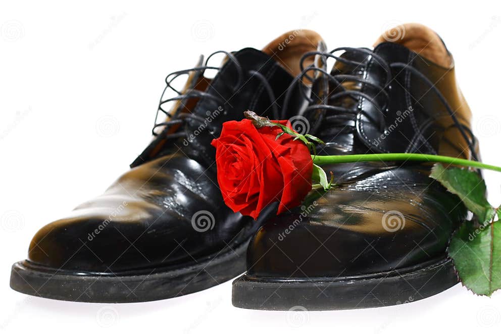 Rosa e sapatas foto de stock. Imagem de floral, corpo - 1865286