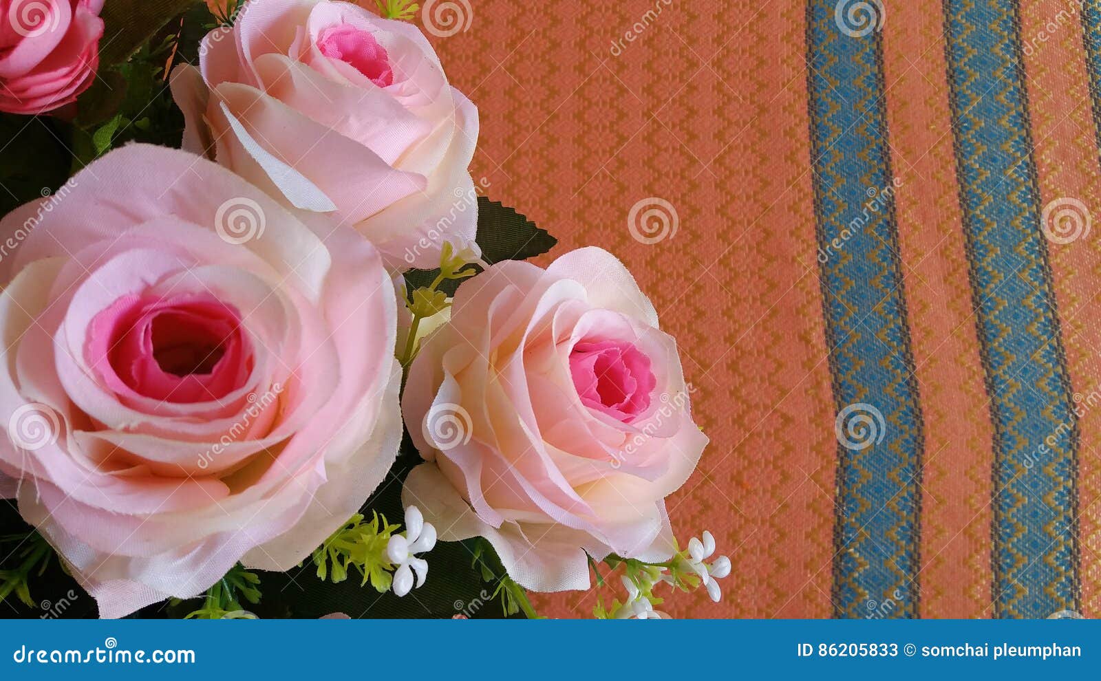 Rosa Hybrida Queen of Flower Rose Stock Image - Image of rose, rosa ...