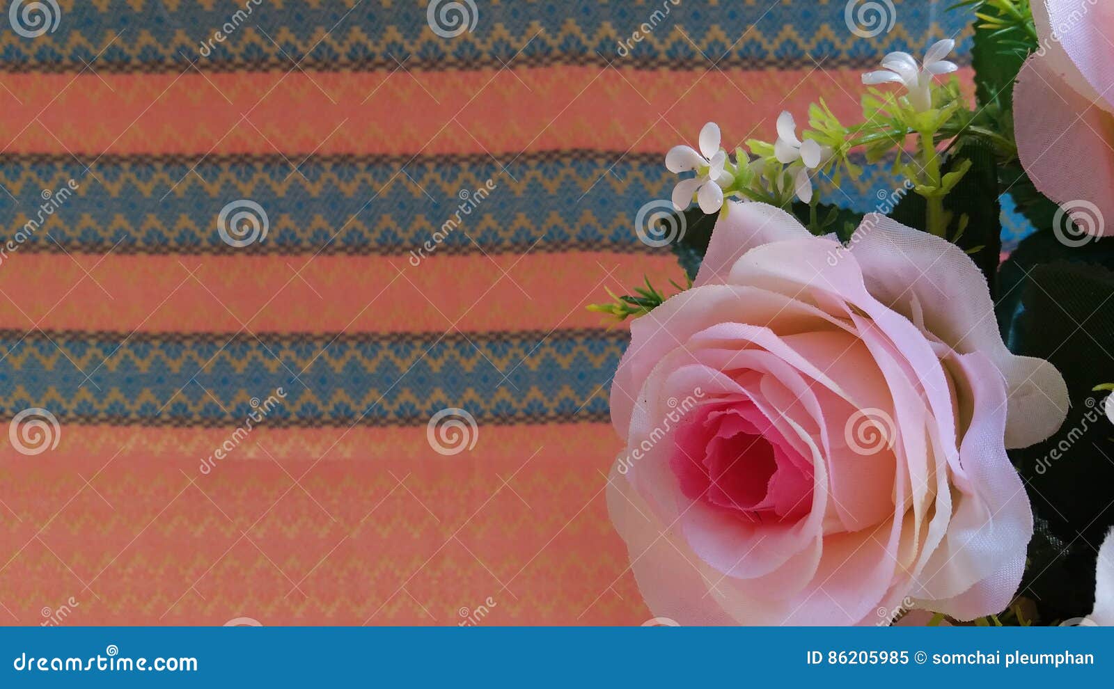 Rosa Hybrida Queen of Flower Rose Stock Image - Image of plant, rose ...