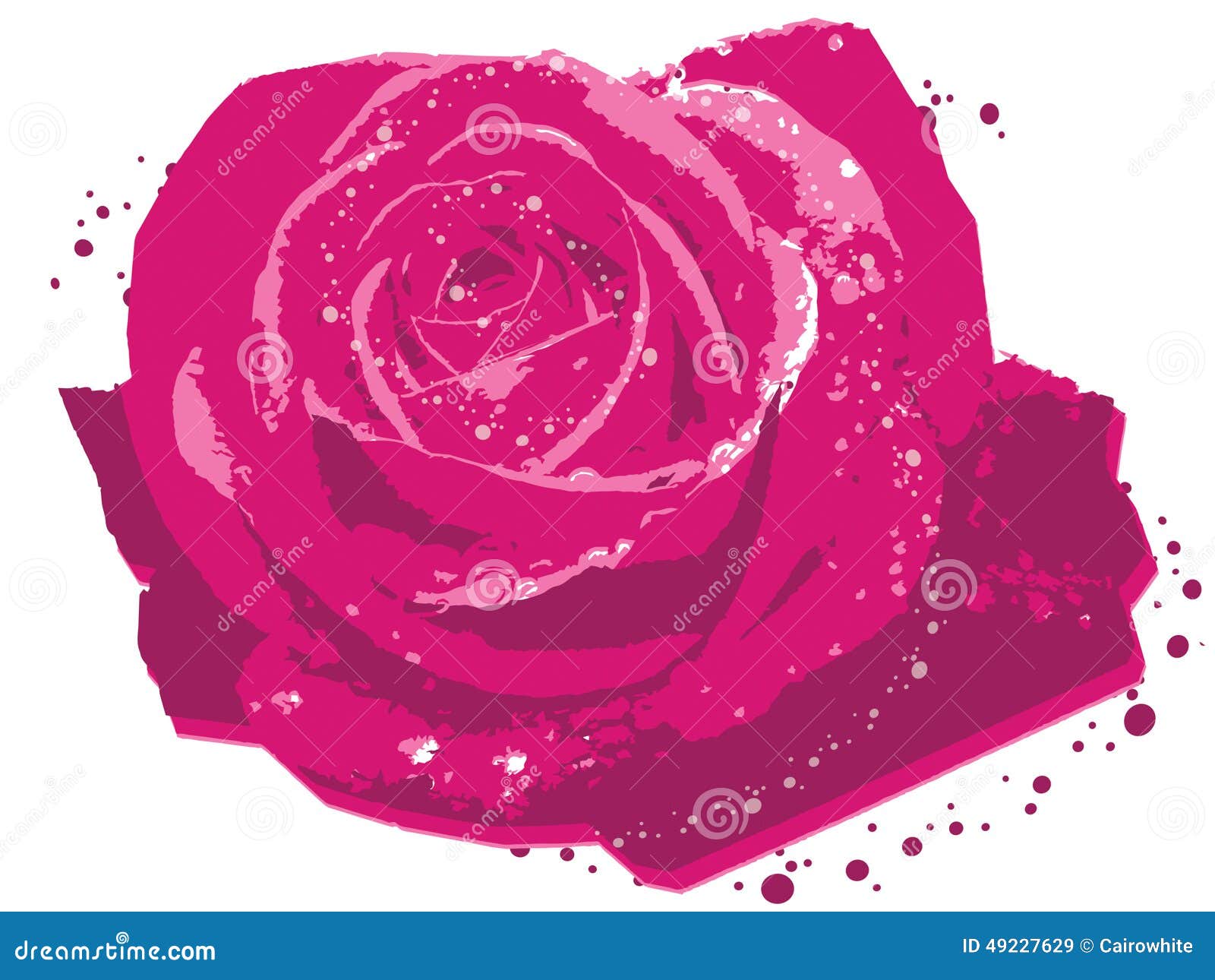 Rosa magenta ilustração stock. Ilustração de amor, fundo - 49227629