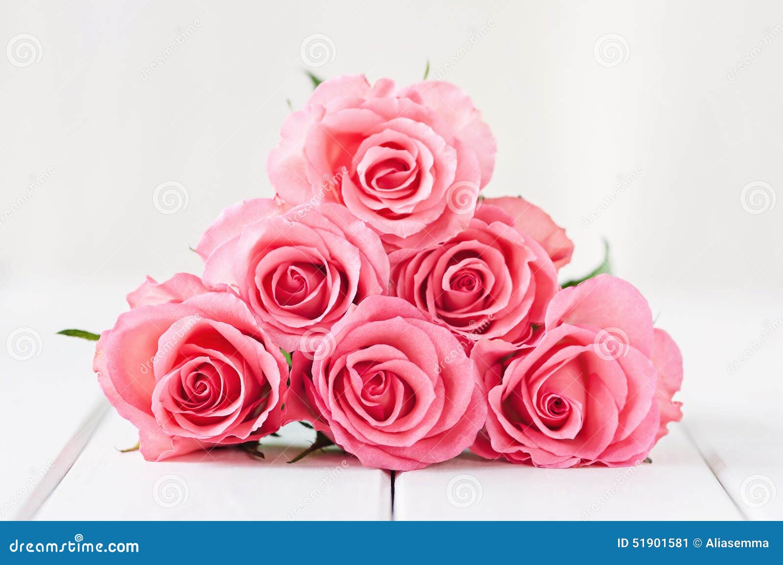 Rosa ro fotografering för bildbyråer. Bild av födelsedag - 51901581