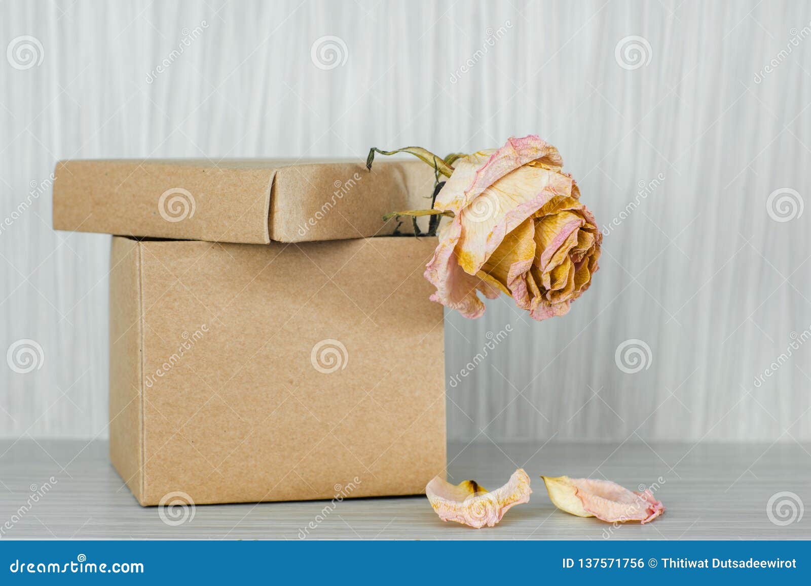 Rosa Rosada Marchitada En Caja Foto de archivo - Imagen de tristeza ...